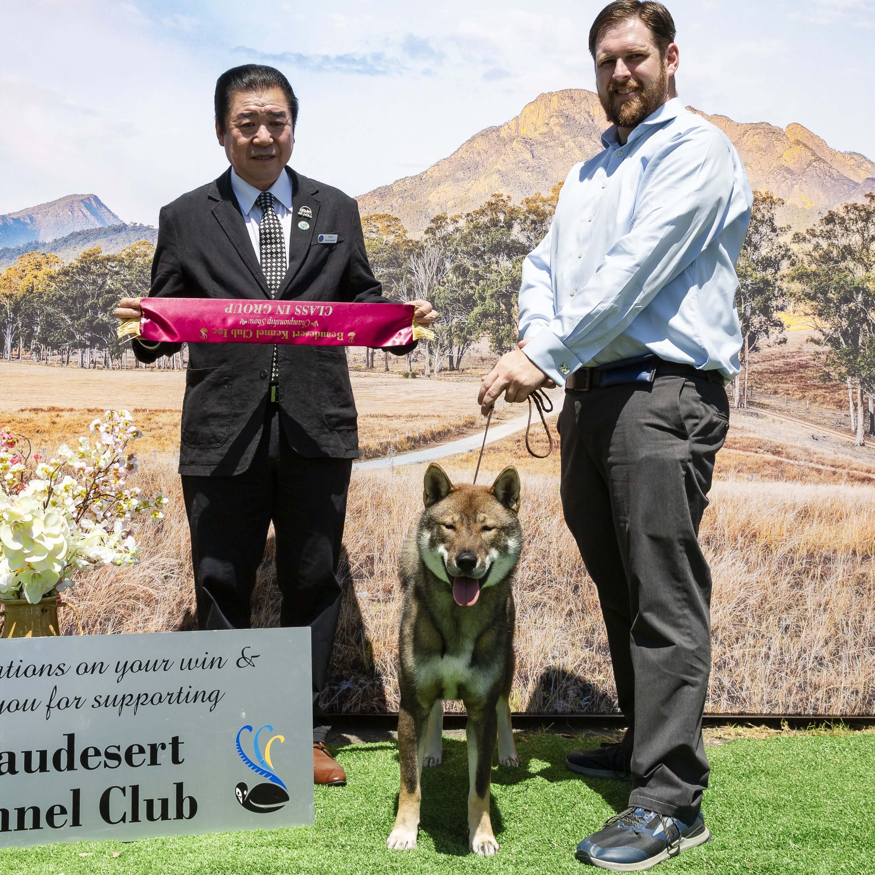 Ch Kaze-Komachi vd Egmato (IMP HUN) Shikoku - Owned by Katherine Jolly