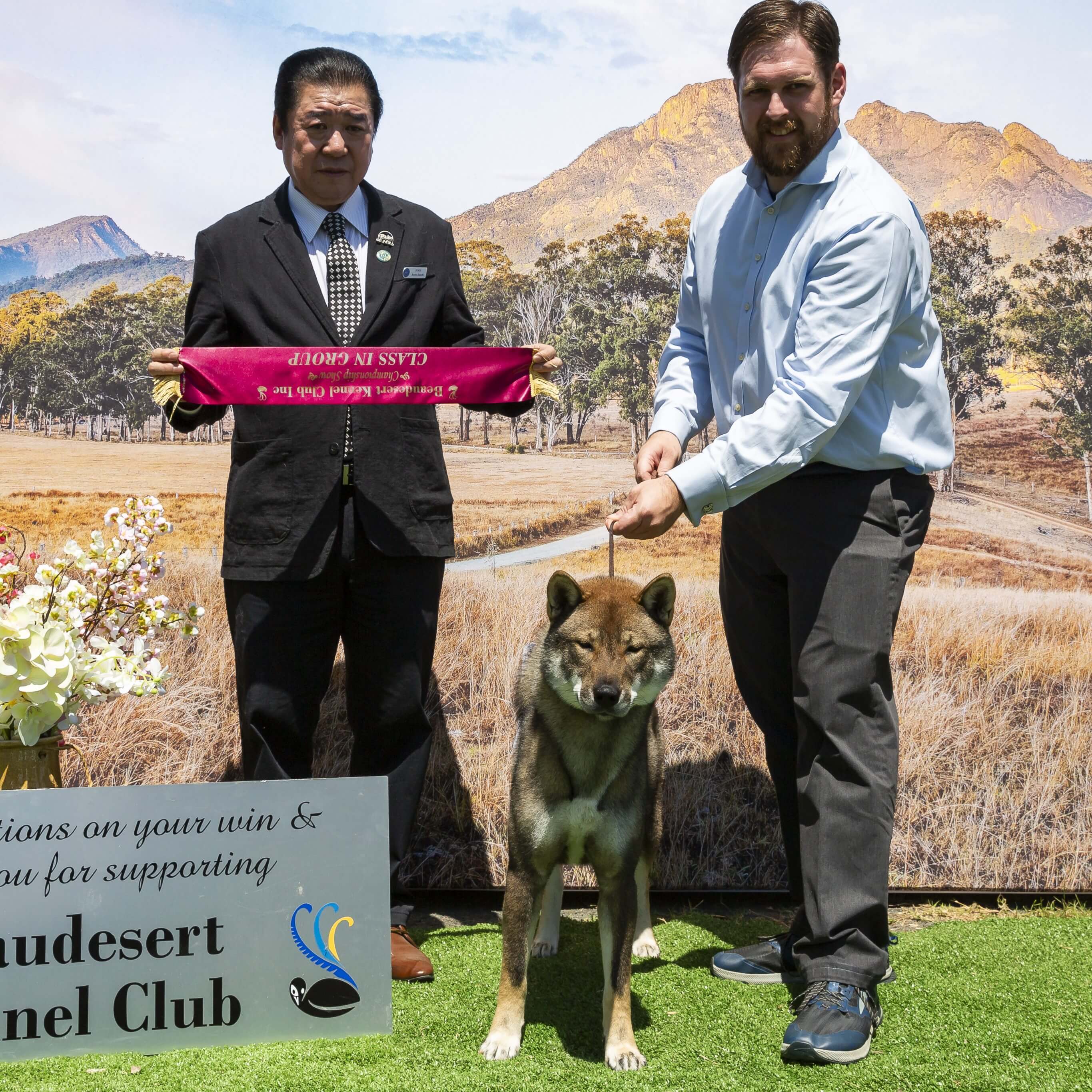 Ch Kaze-Komachi vd Egmato (IMP HUN) Shikoku - Owned by Katherine Jolly