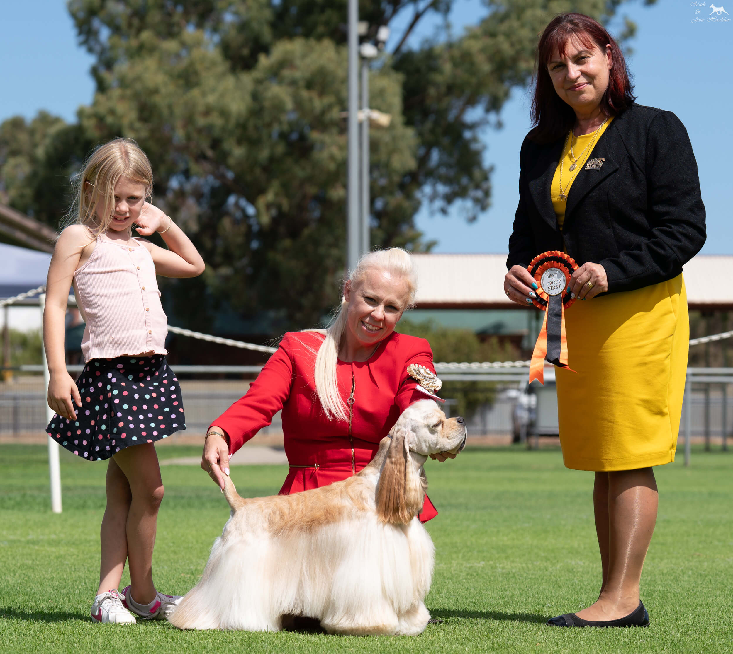 Aust Ch Azel Long May He reign Cocker Spaniel (American) - Owned by ...