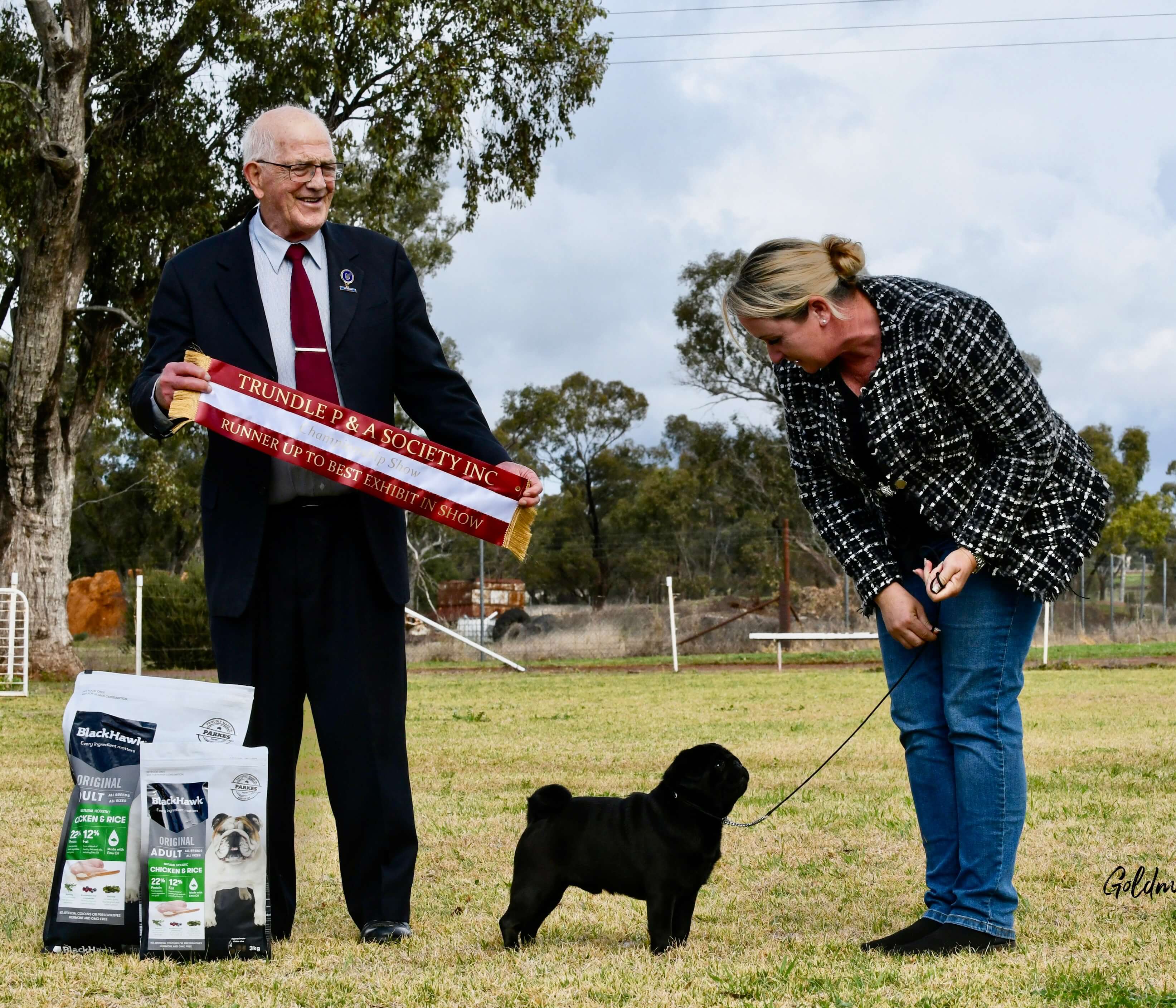 BIS, BISS & RBIS Supreme Ch Kabova Whatcha Say Pug - Owned by J Whitney ...