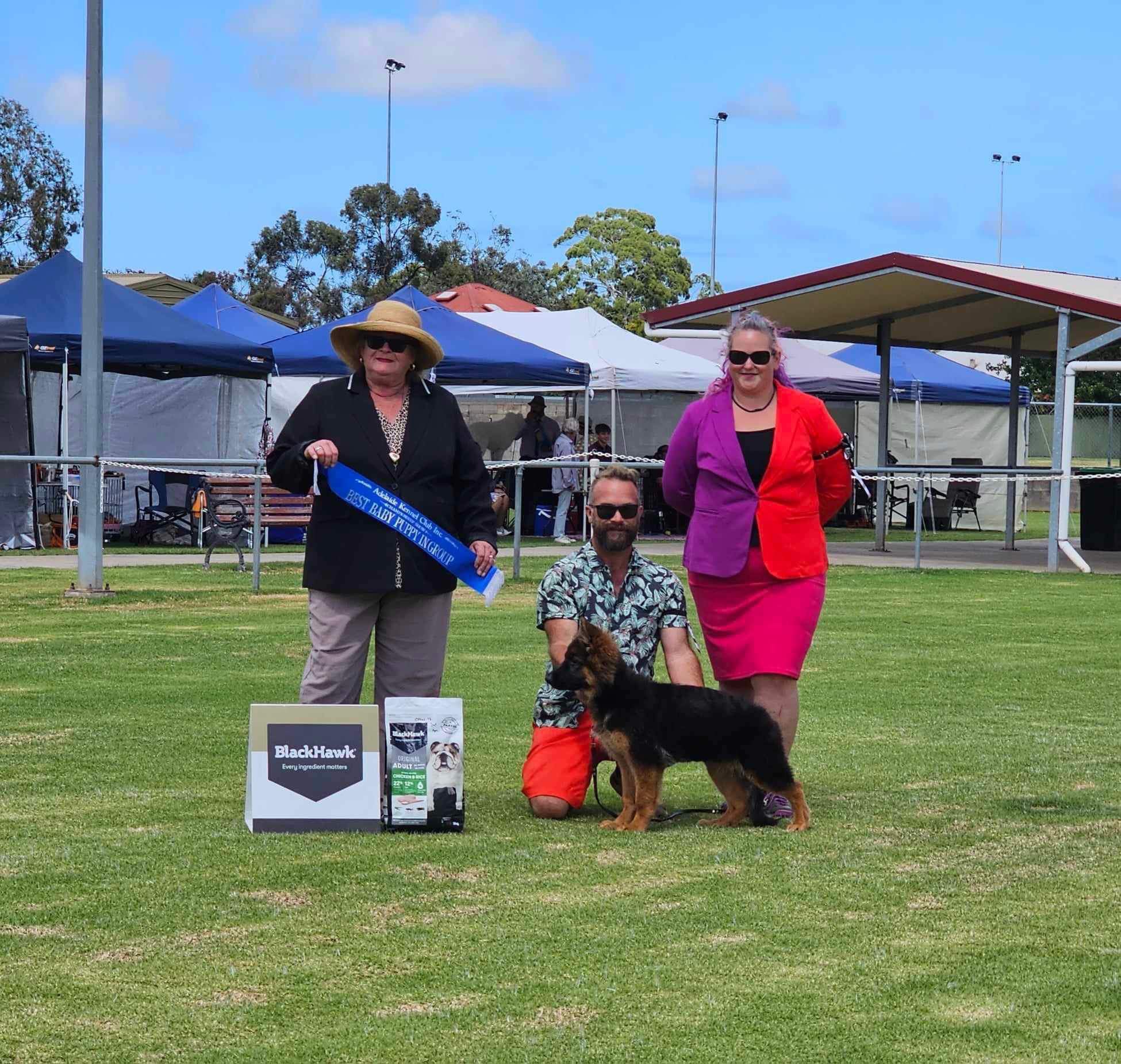 Alimanda Space Jam German Shepherd Dog (Long Stock Coat) - Owned by ...