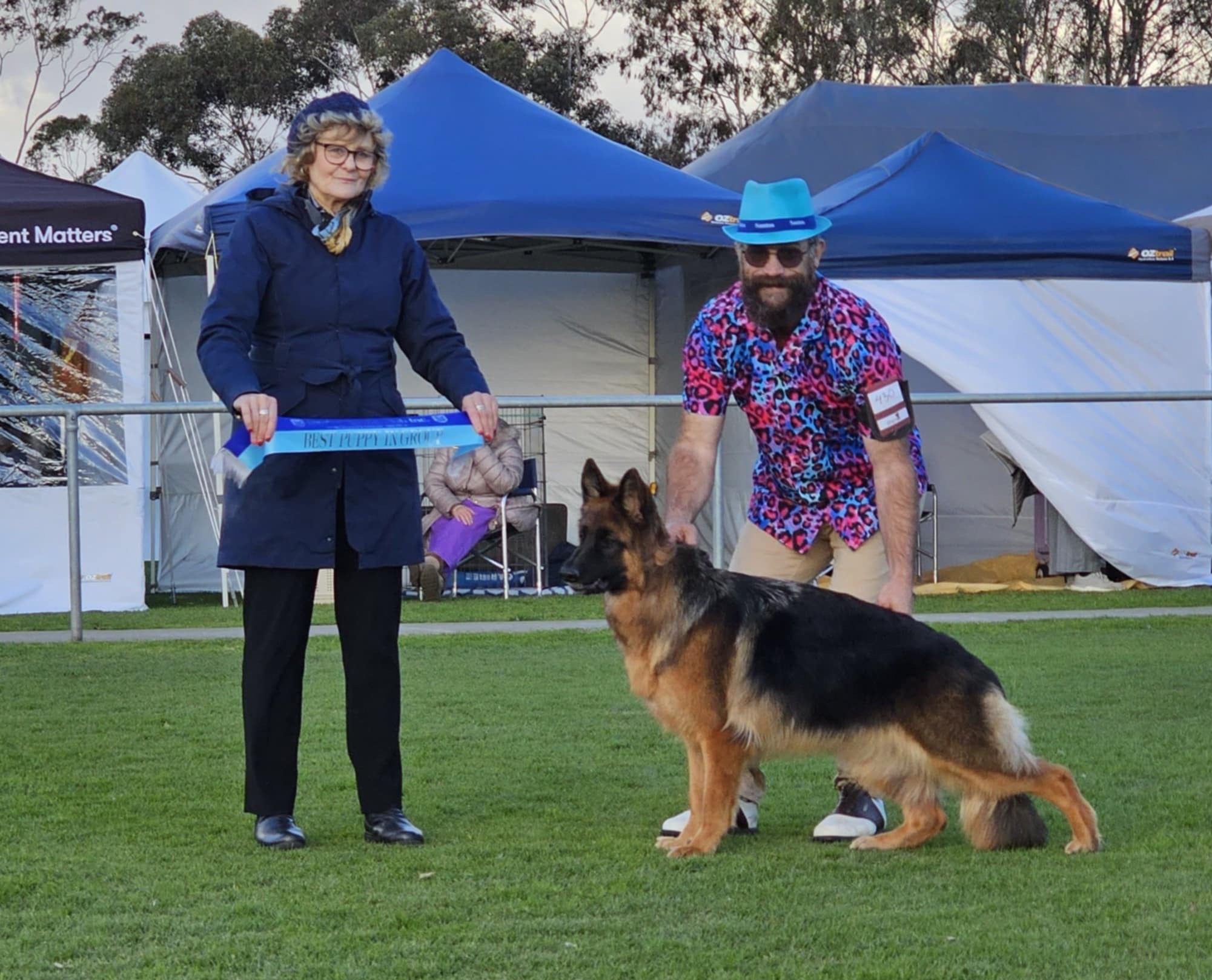 Aust Ch Alimanda Space Jam German Shepherd Dog (Long Stock Coat ...