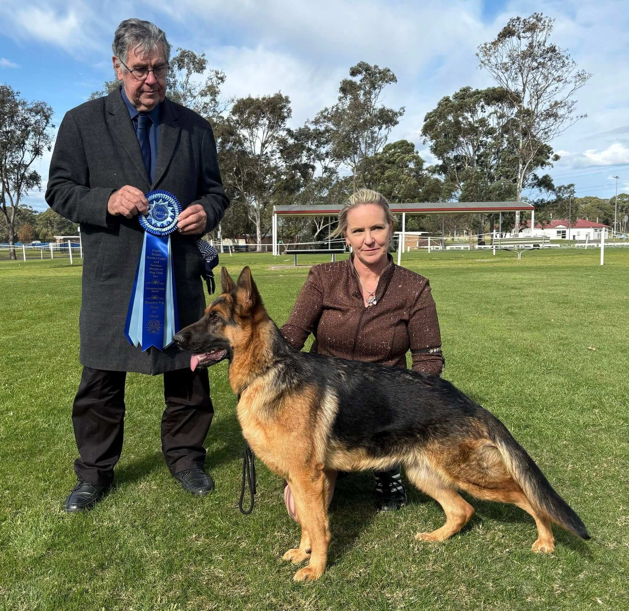 Allendell Young N Beautiful German Shepherd Dog - Owned by Rhonda Ralphs