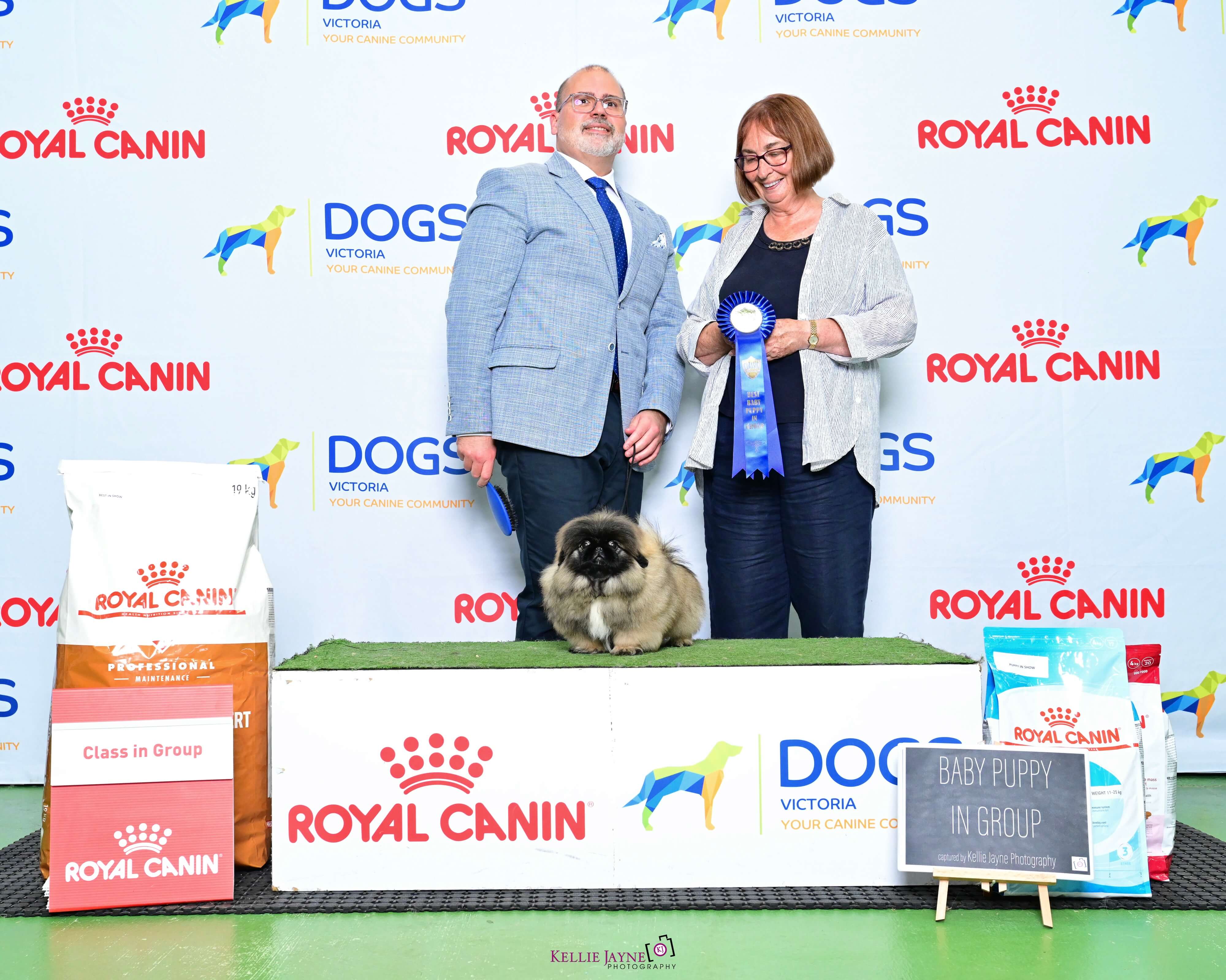 Khyleini Independent Woman Pekingese - Owned by Mr F Menezes