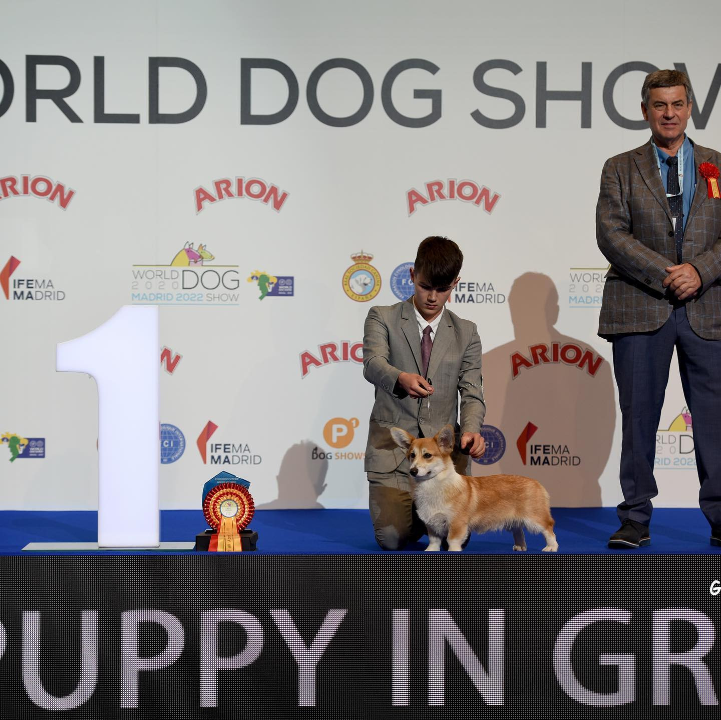 C.I.B.-J, HUN.CH. AUSTRALIAN SUPREME CH. BORN TO BE YOUR SIGNATURE (Imp ...