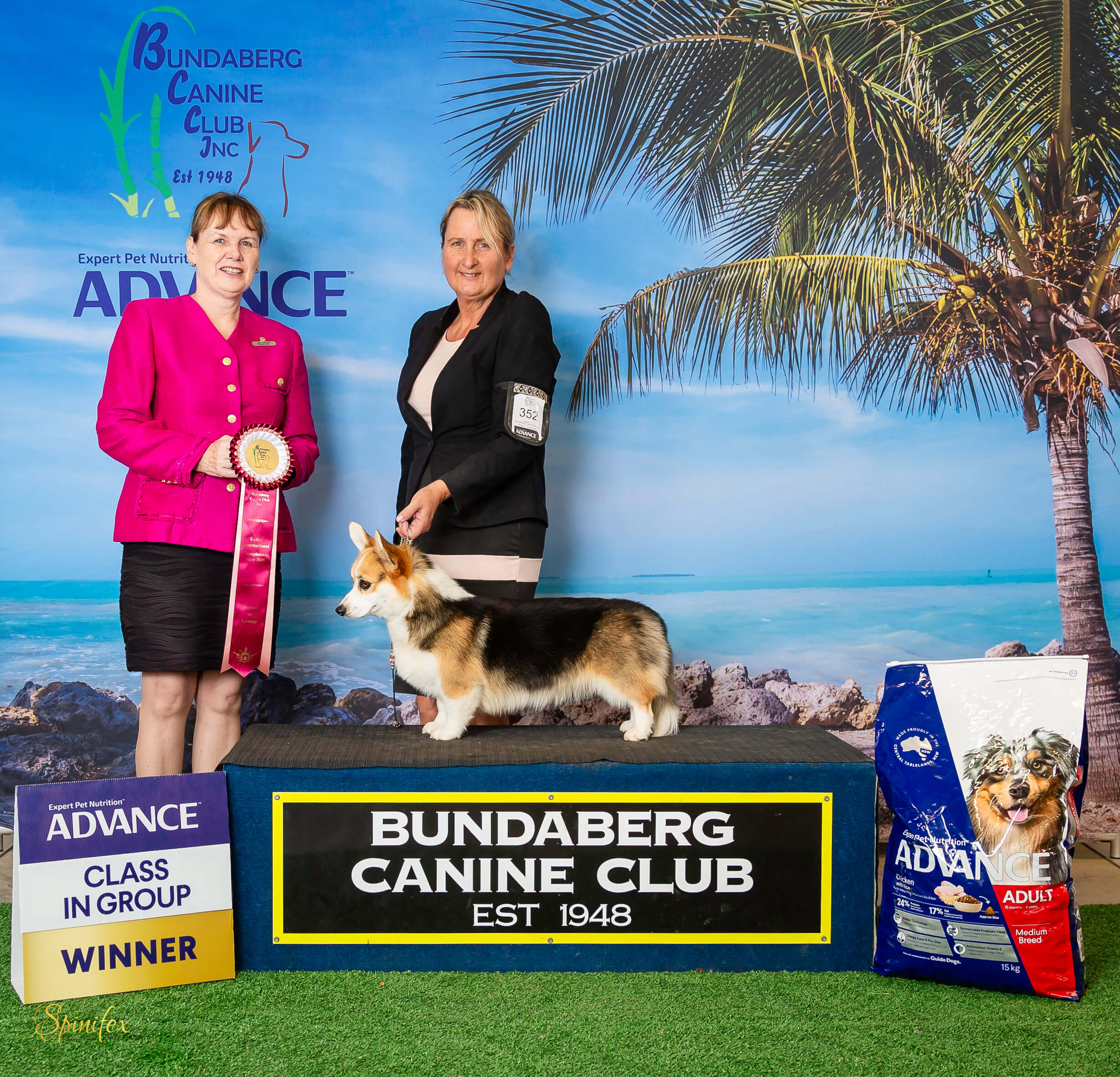 Ch. Bunyaview Warrior Princess Welsh Corgi (Pembroke) - Owned by Judith ...