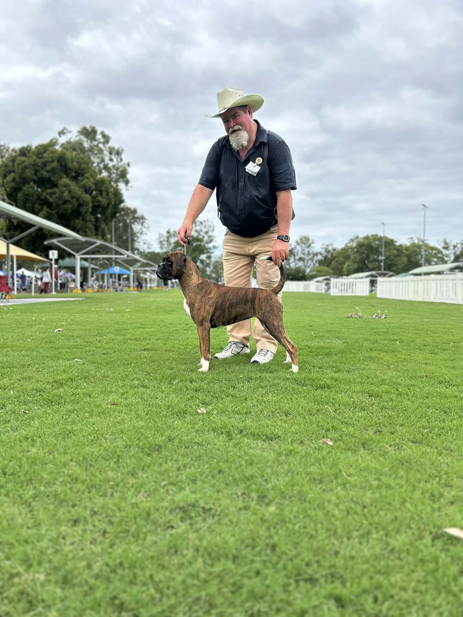 Ch. Hogwartz Star Dust Boxer - Owned by S.Bryant