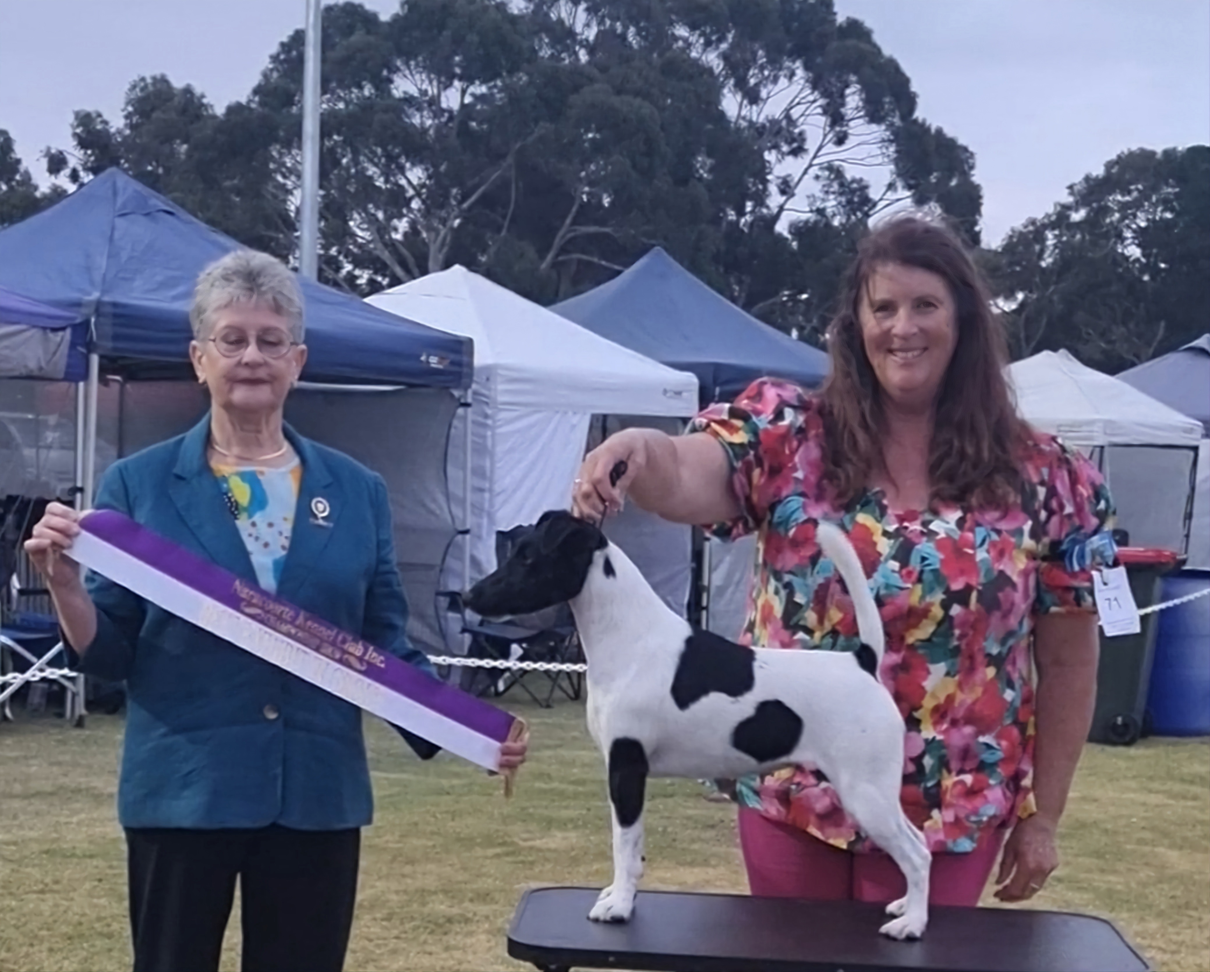 SUPREME CHAMPION Ecirp Shes Got The Look - Owned by Ms R Price-Killeen