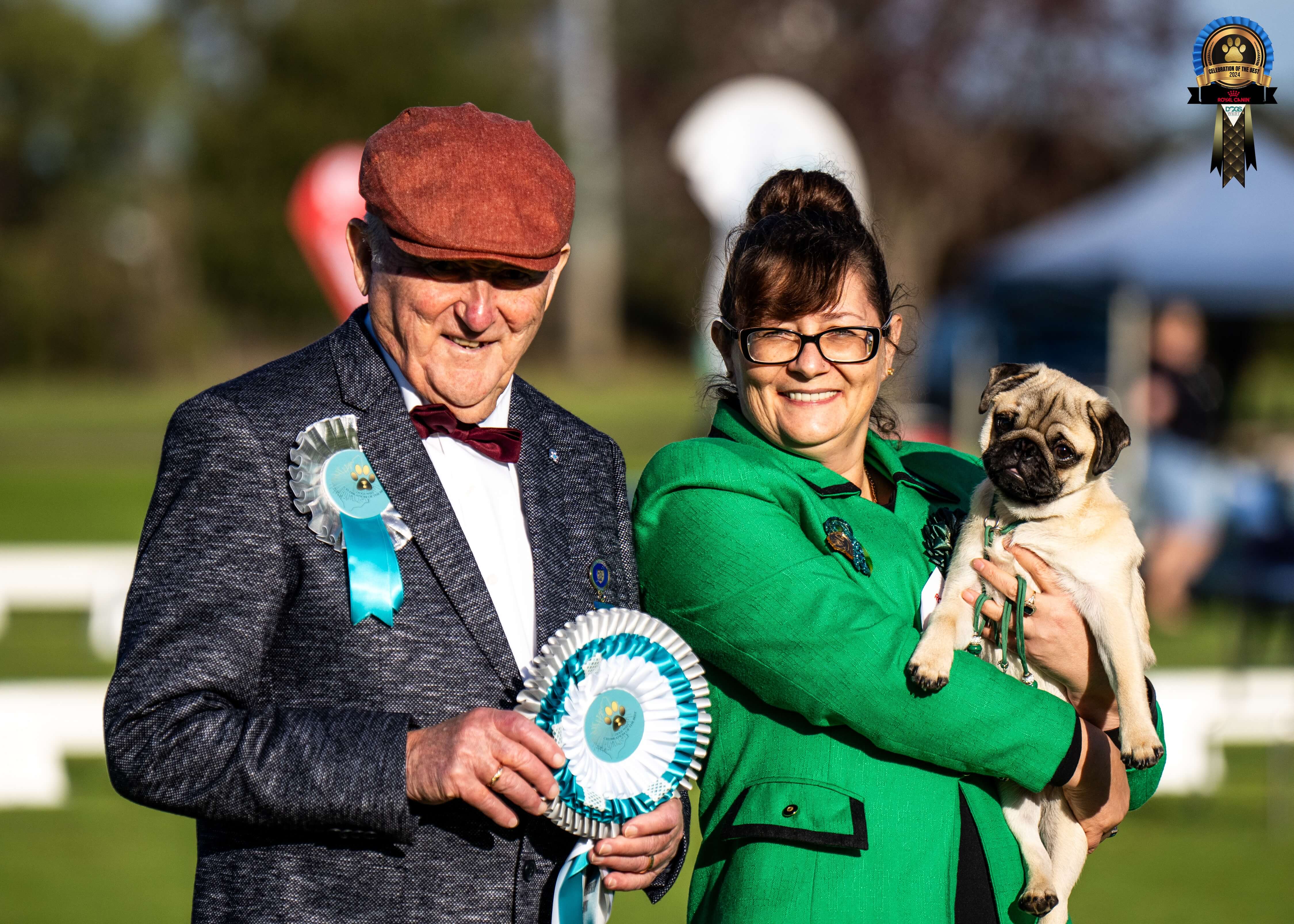 Triseter Mopsi Yuletide Pug - Owned by Heidi J Ansell