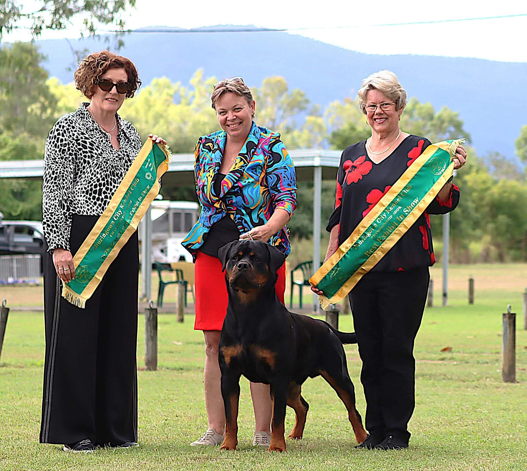 SUPREME CHAMPION Moccarott Iconic Genes Rottweiler - Owned by Cheryl Jones