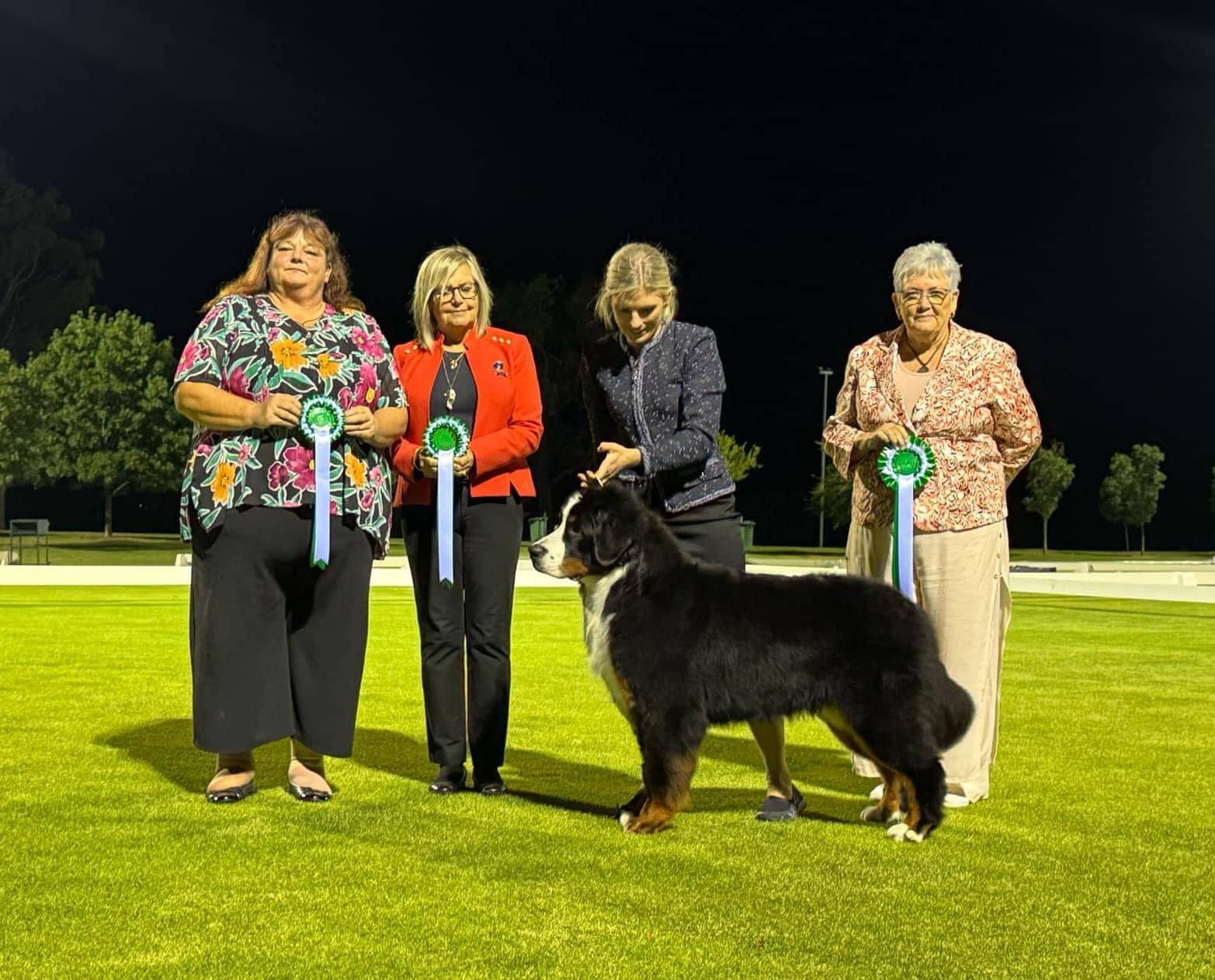 Aust Ch Zollikon I Knew U Were Trouble Bernese Mountain Dog - Owned by ...