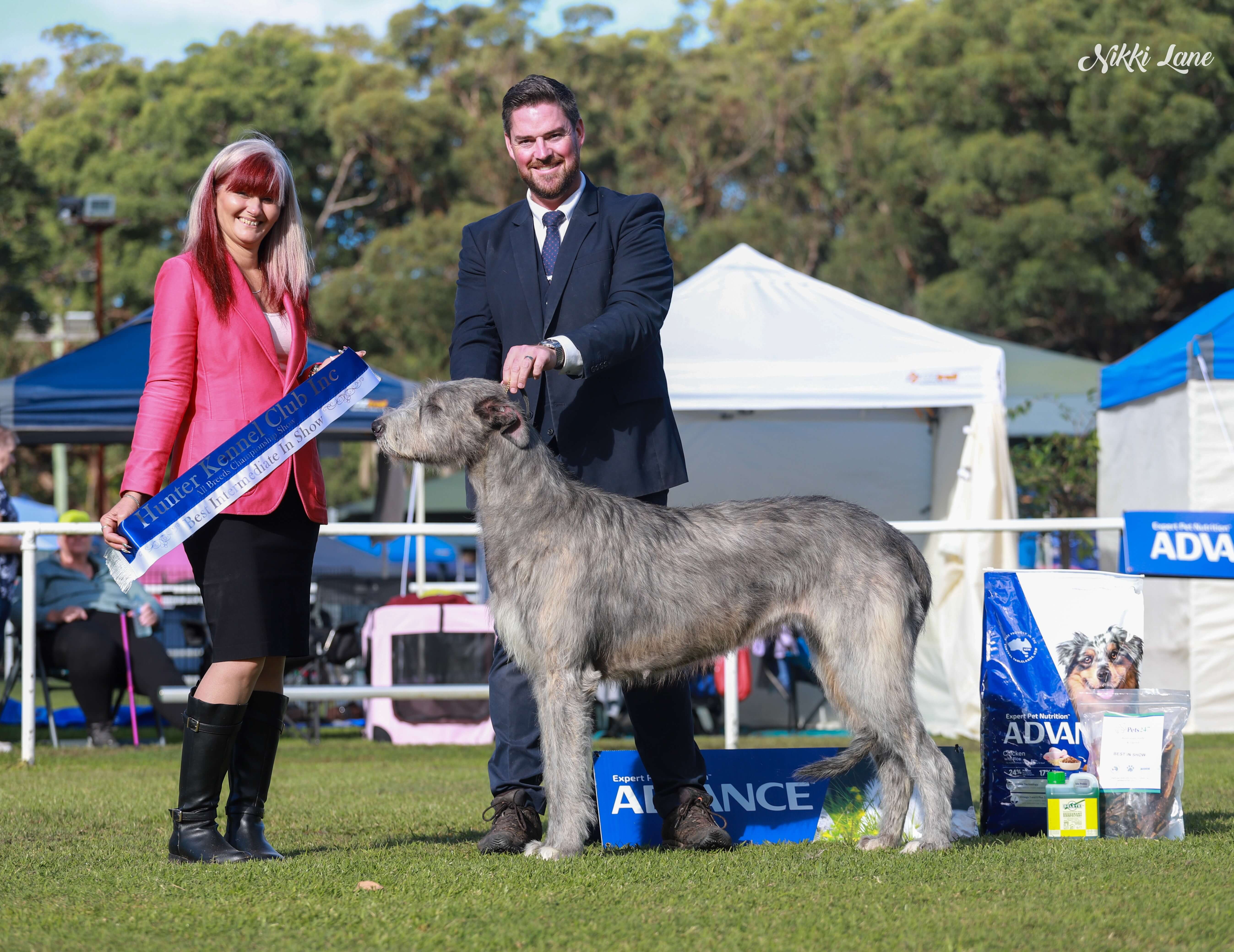 BISS C.I.B A2O Ch. Supreme Ch. MacLaomainn Evie (AI) Irish Wolfhound ...