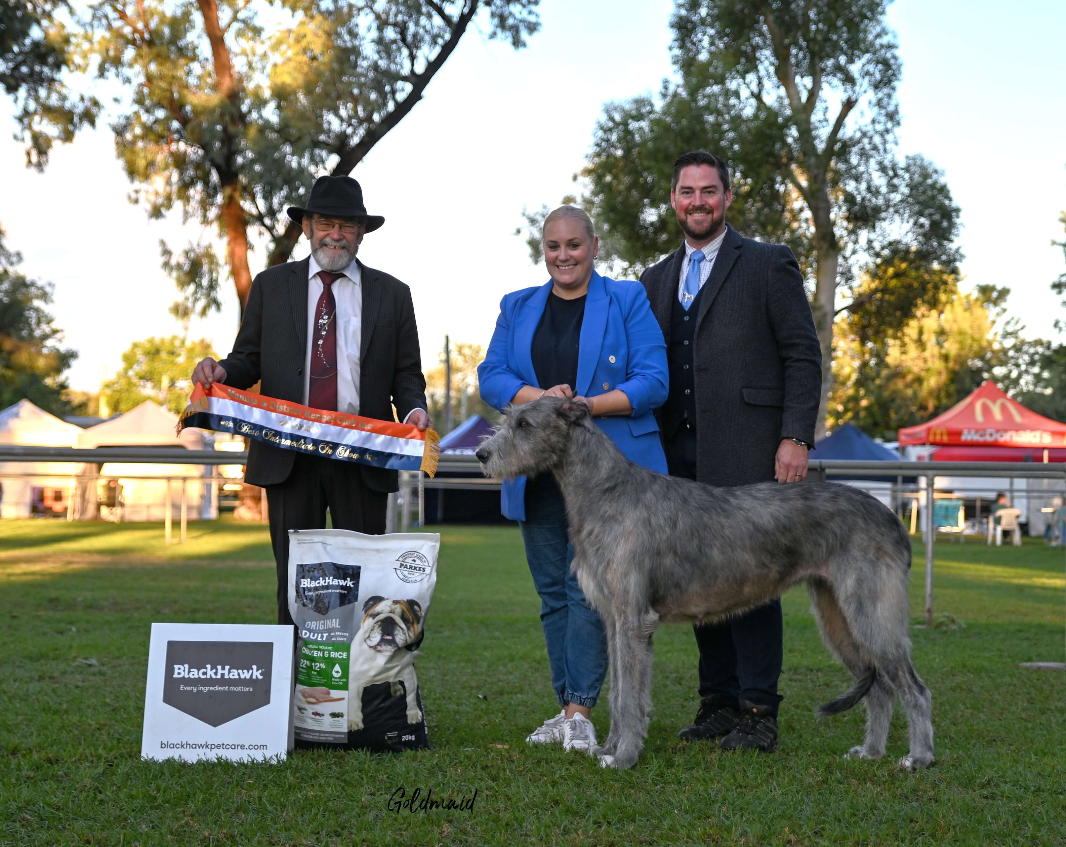 BISS C.I.B A2O Ch. Supreme Ch. MacLaomainn Evie (AI) Irish Wolfhound ...