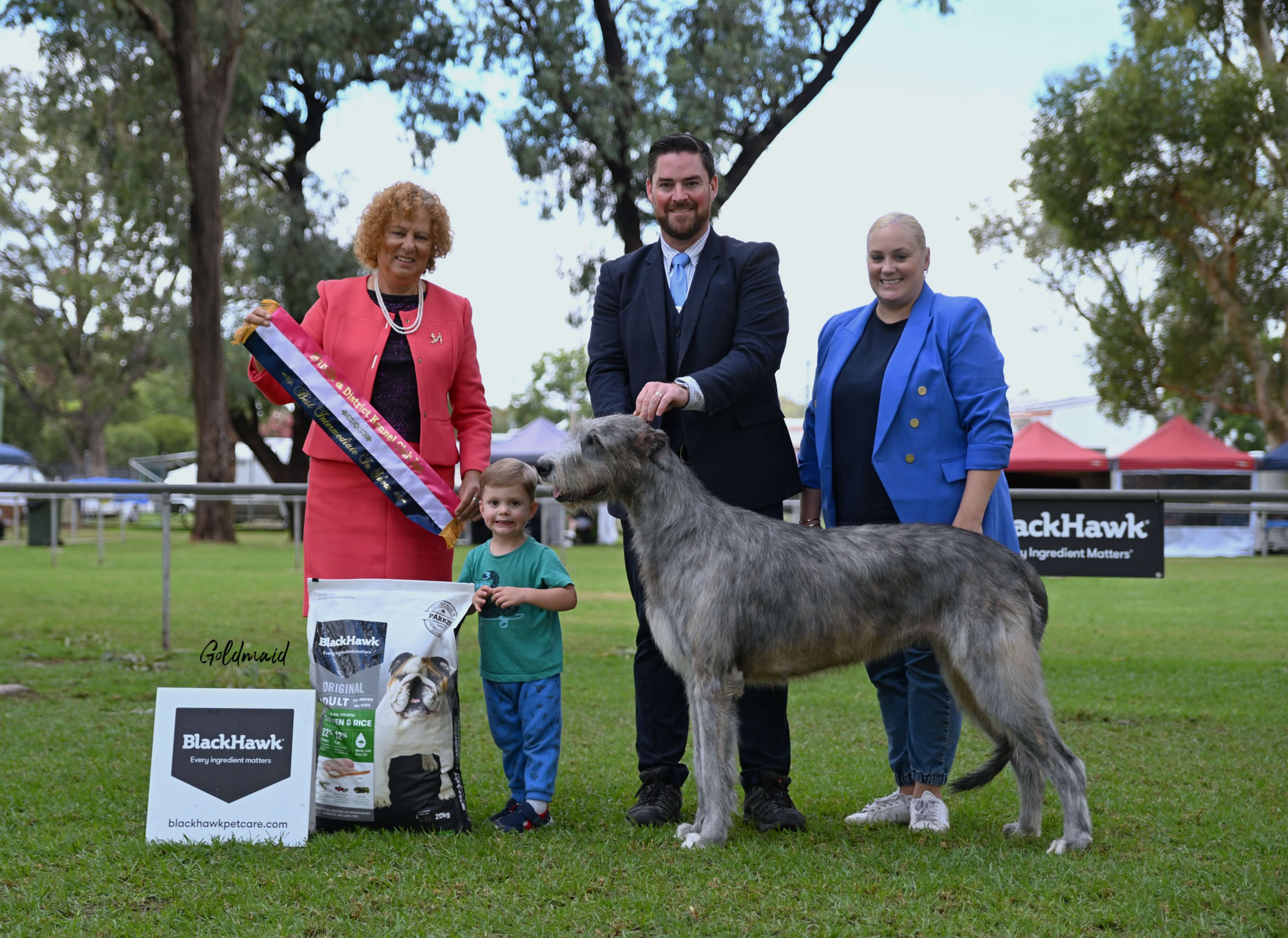 BISS C.I.B A2O Ch. Supreme Ch. MacLaomainn Evie (AI) Irish Wolfhound ...