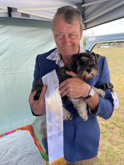 Australian Champion Hoshiahna Precious Cornerstone Schnauzer (Miniature ...