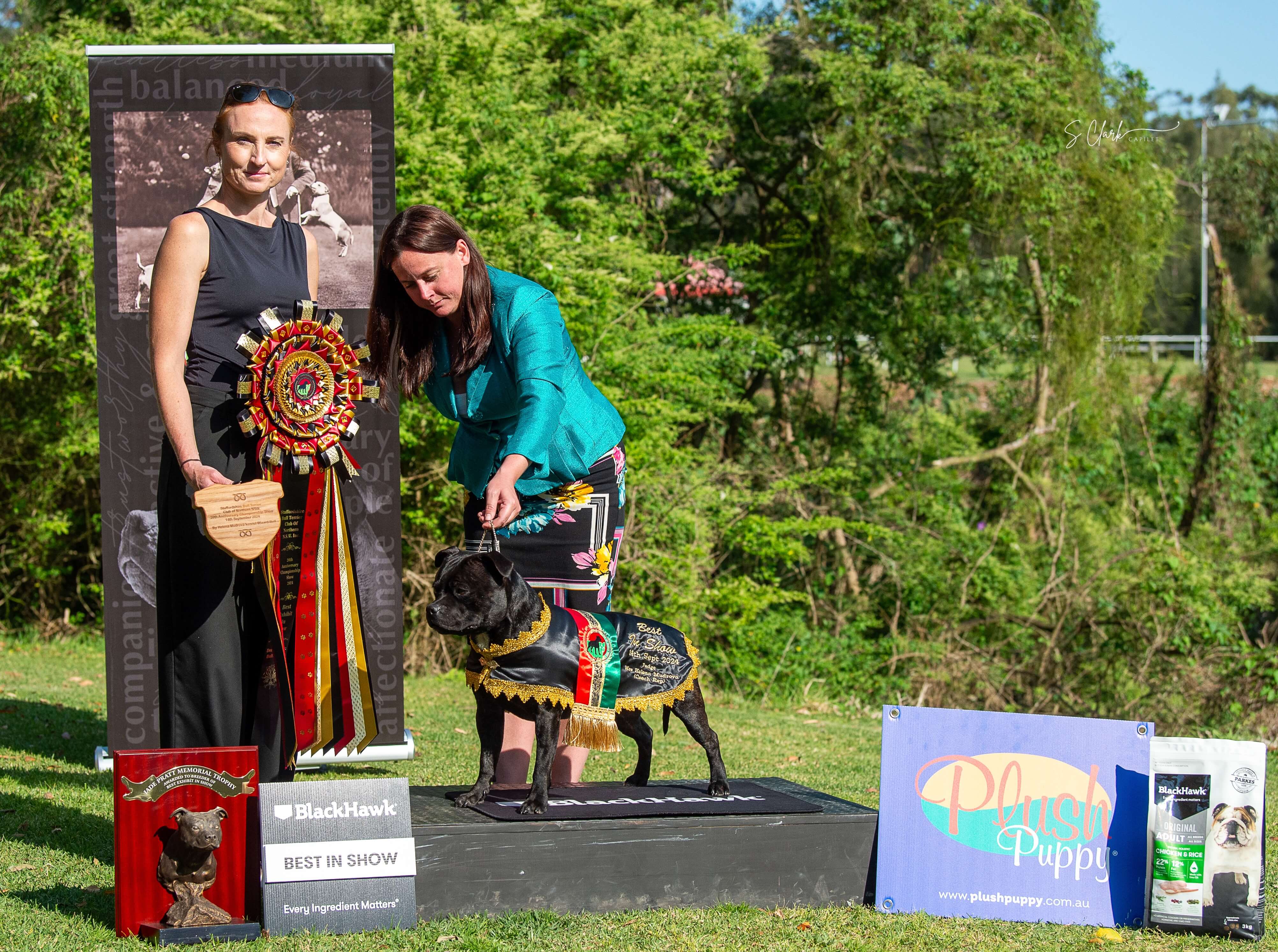 Multi BISS Multi BIS A20 CH. SUPREME CHAMPION Capilet Dnt Feed Afta ...