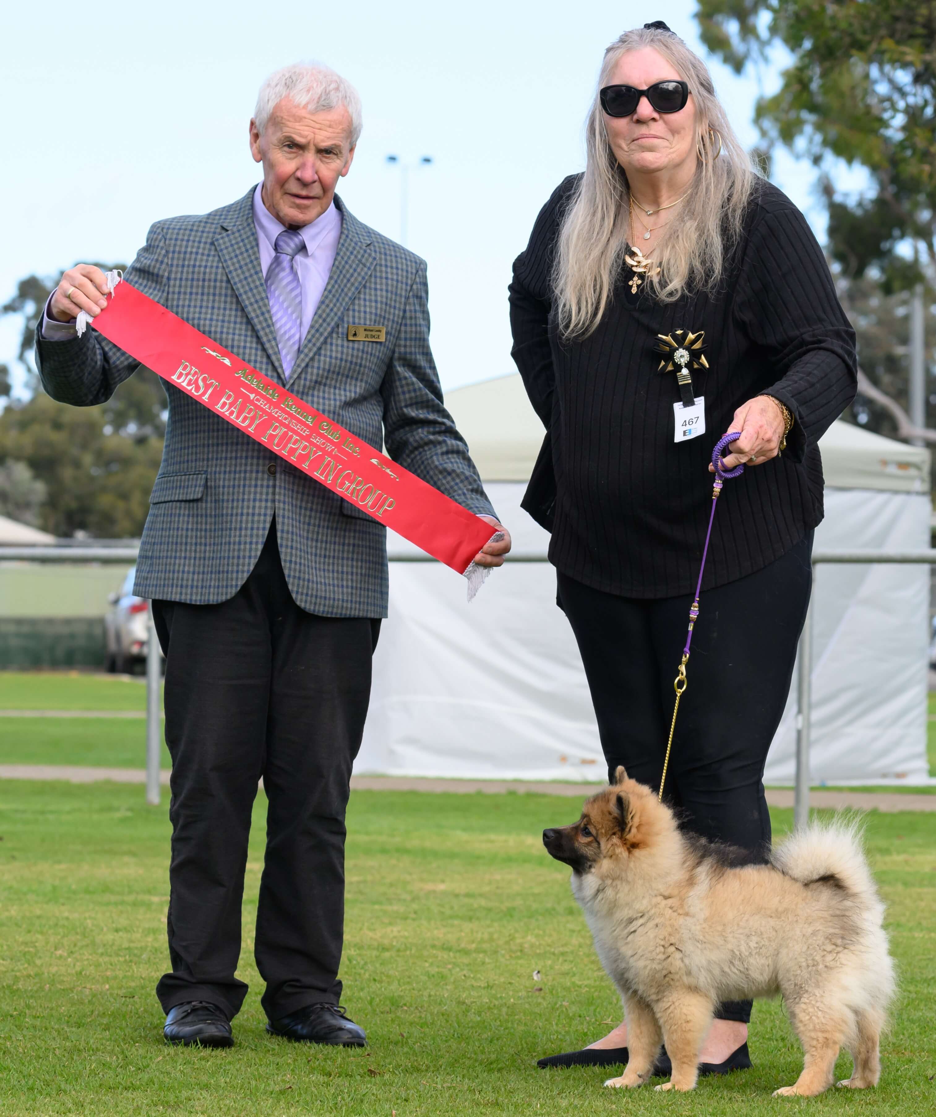 Aust Ch Perfektion King of the Ring German Spitz (Mittel) - Owned by ...