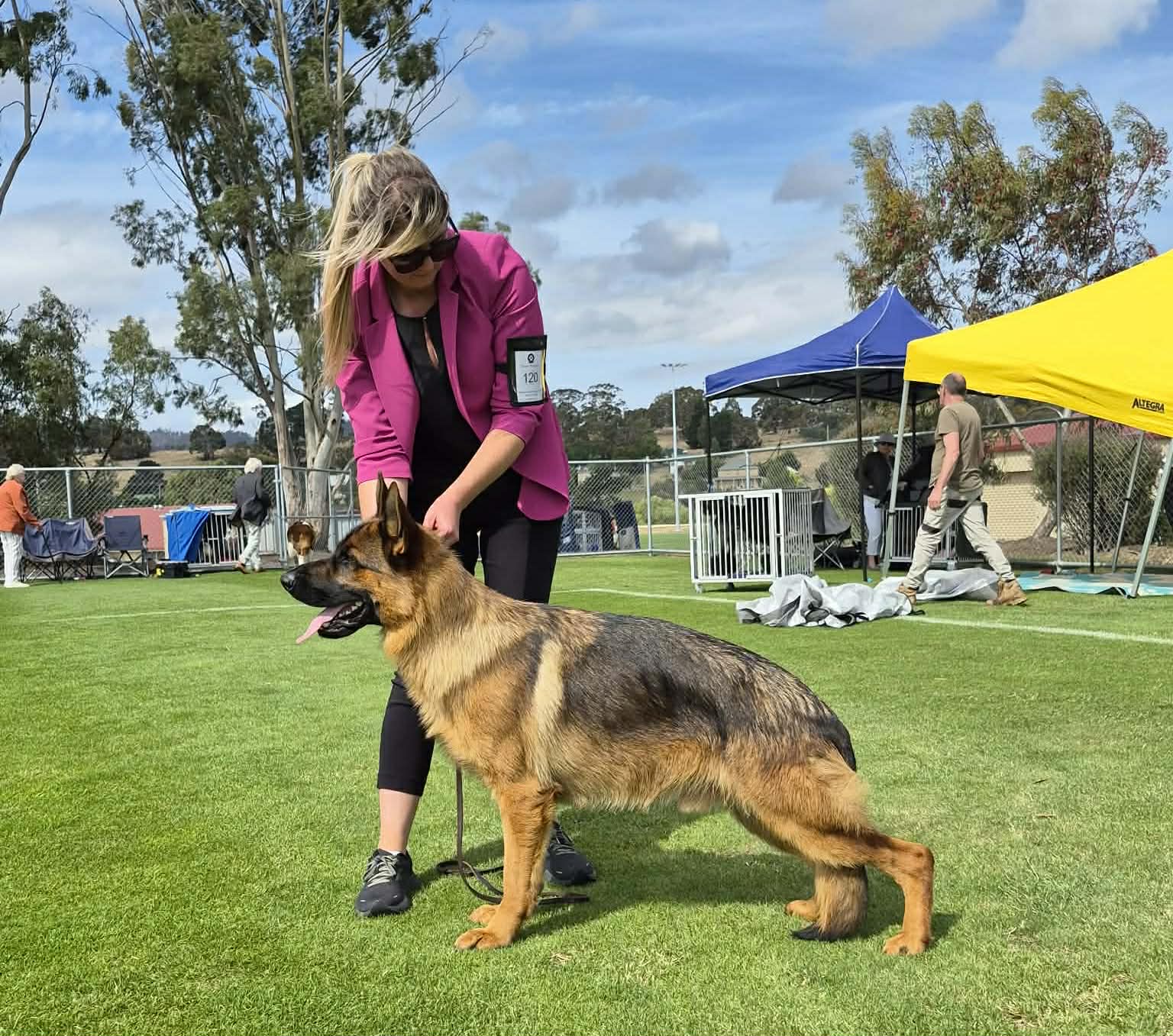 Ch Bronboreo potato German Shepherd Dog - Owned by Tenaya beaton,justin ...