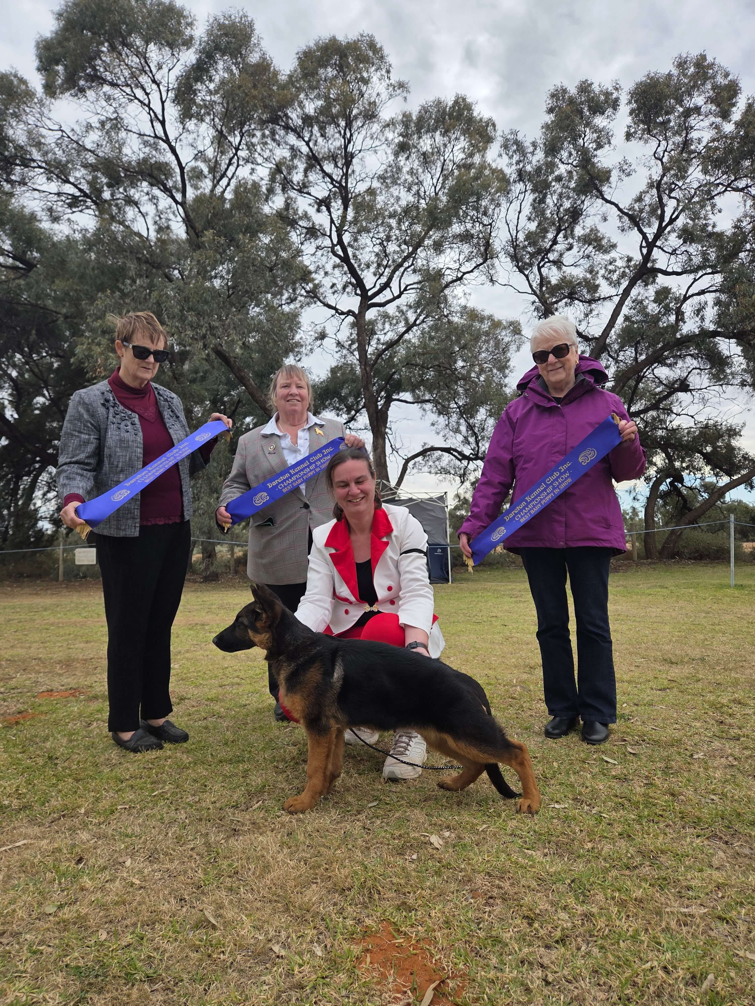 Aust Ch. Bronboreo Gee Gee German Shepherd Dog - Owned by Felicity ...