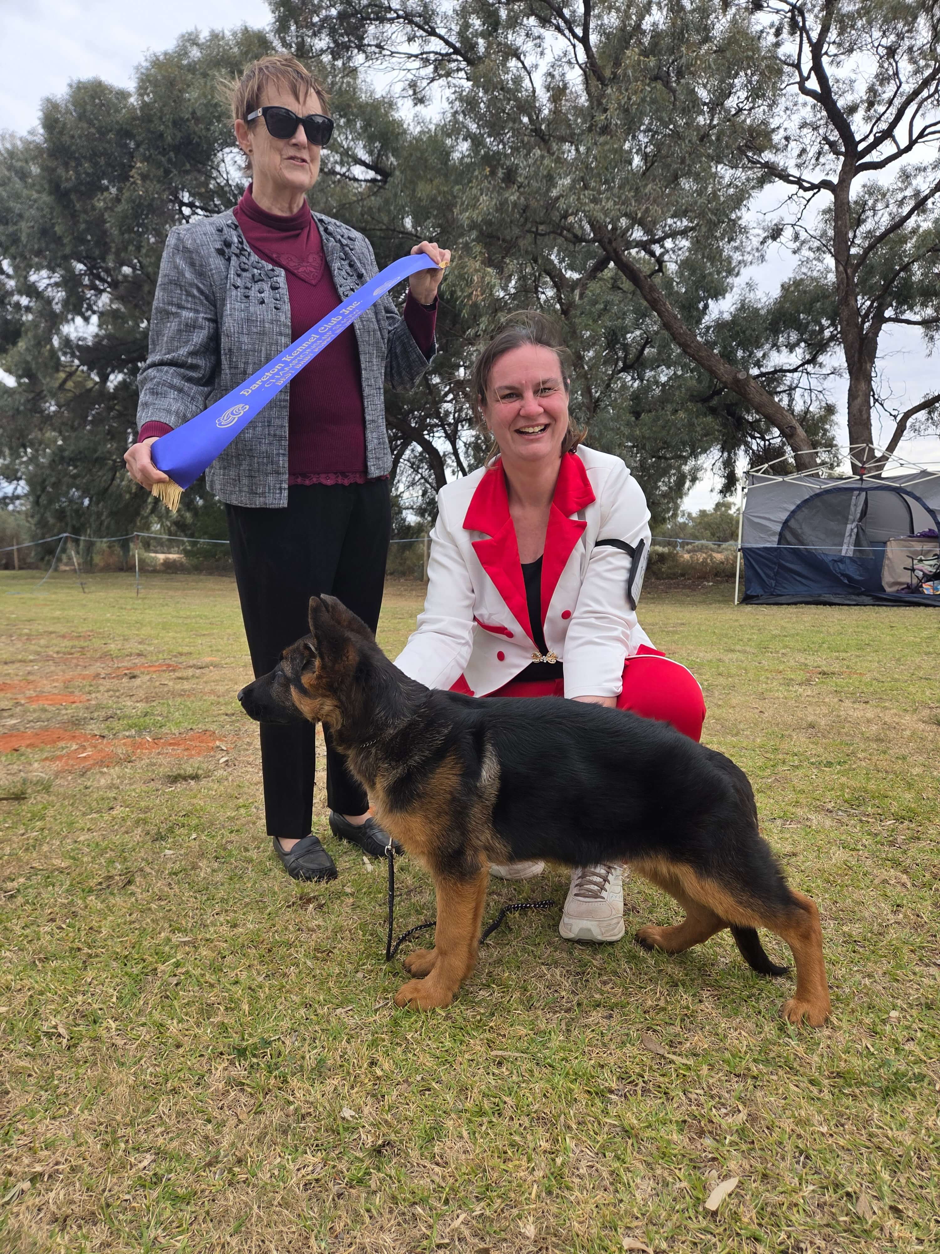 Aust Ch. Bronboreo Gee Gee German Shepherd Dog - Owned by Felicity ...