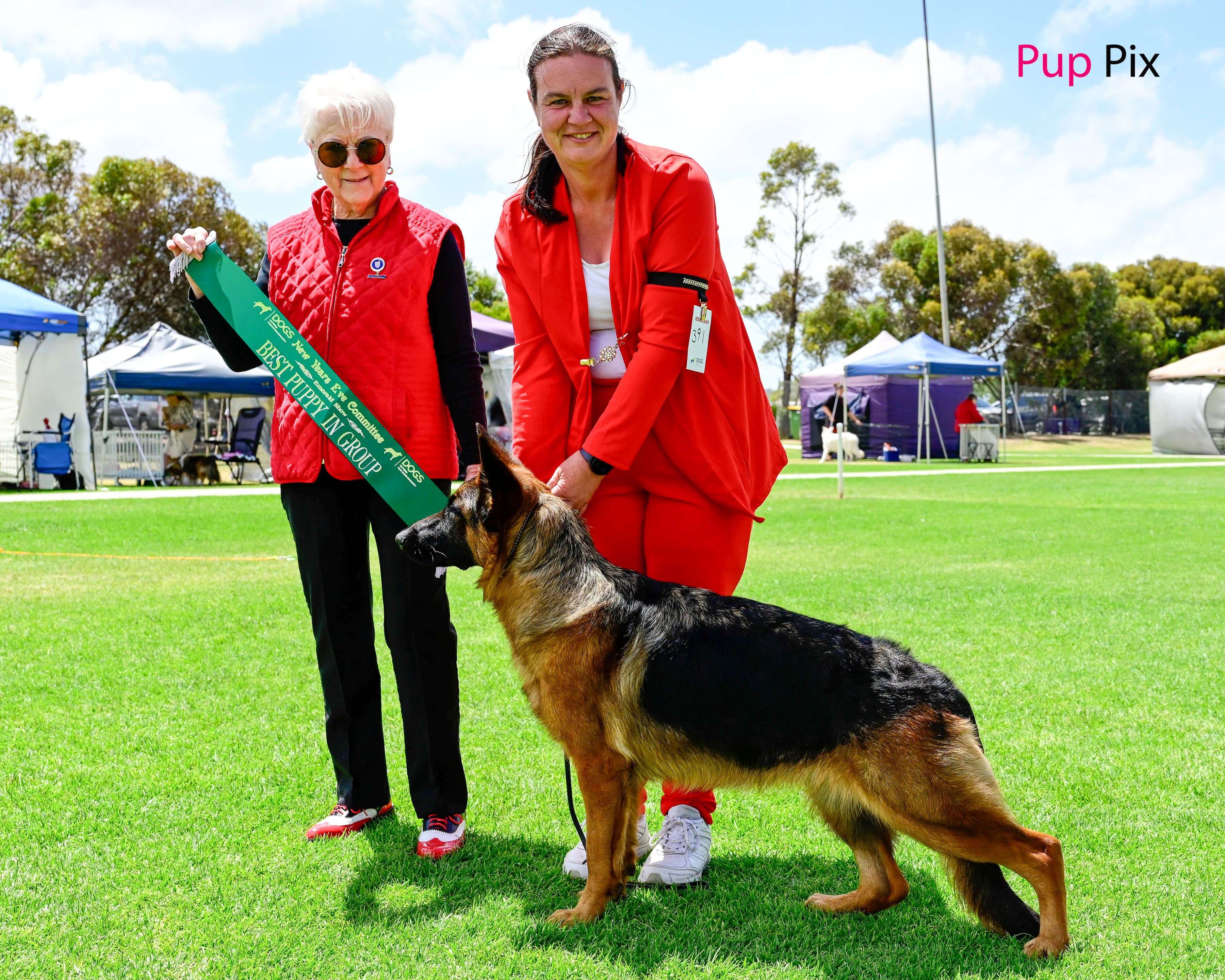 Aust Ch. Bronboreo Gee Gee German Shepherd Dog - Owned by Felicity ...