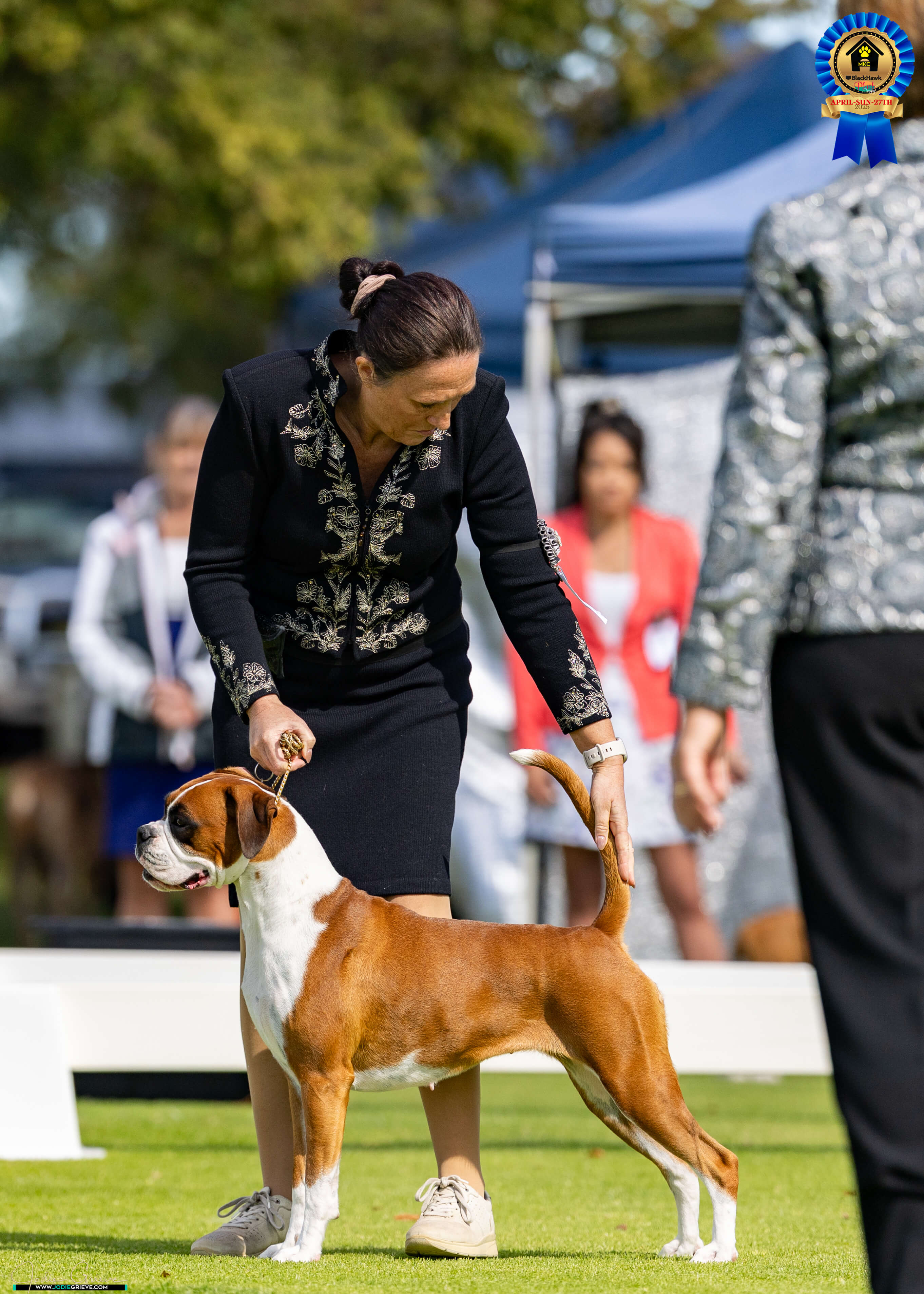 Ch Milmac Hell on Heels Boxer - Owned by Clare Morefield