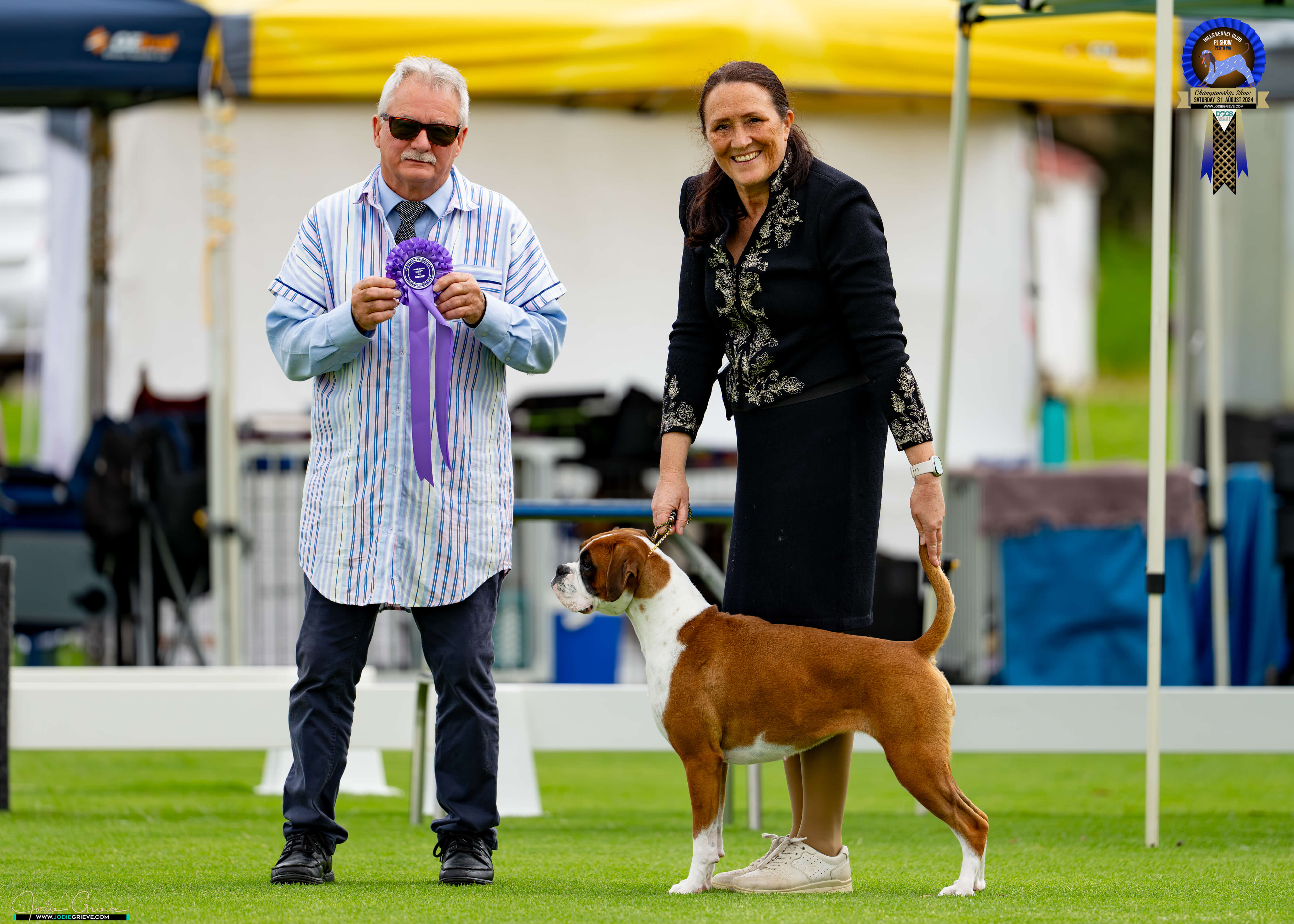 Ch Milmac Hell on Heels Boxer - Owned by Clare Morefield