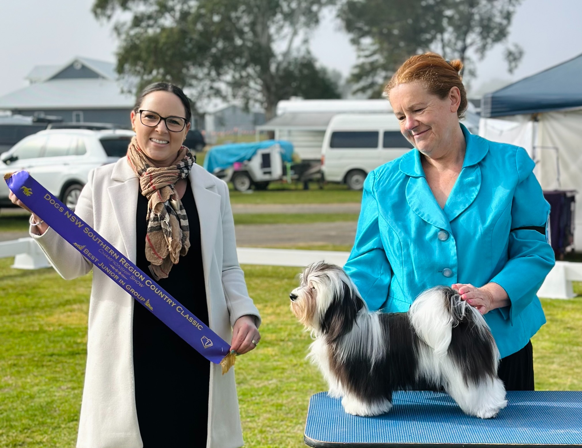 Ch Karyme V for Vendetta Havanese - Owned by Gail Ransom