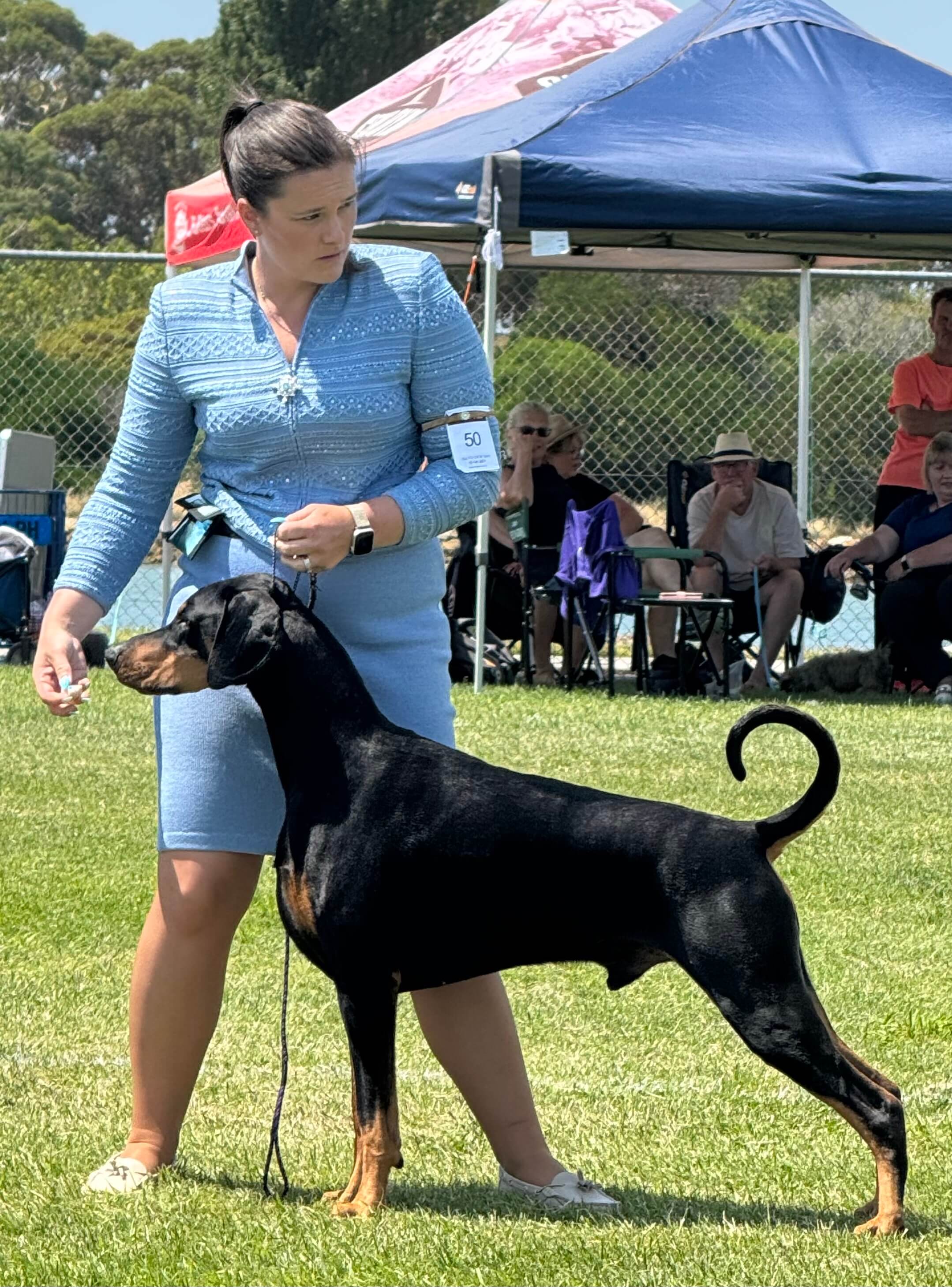 CIE Aust Sup Ch Cabochon Toot Your Own Horn N.SPRD Dobermann - Owned by ...