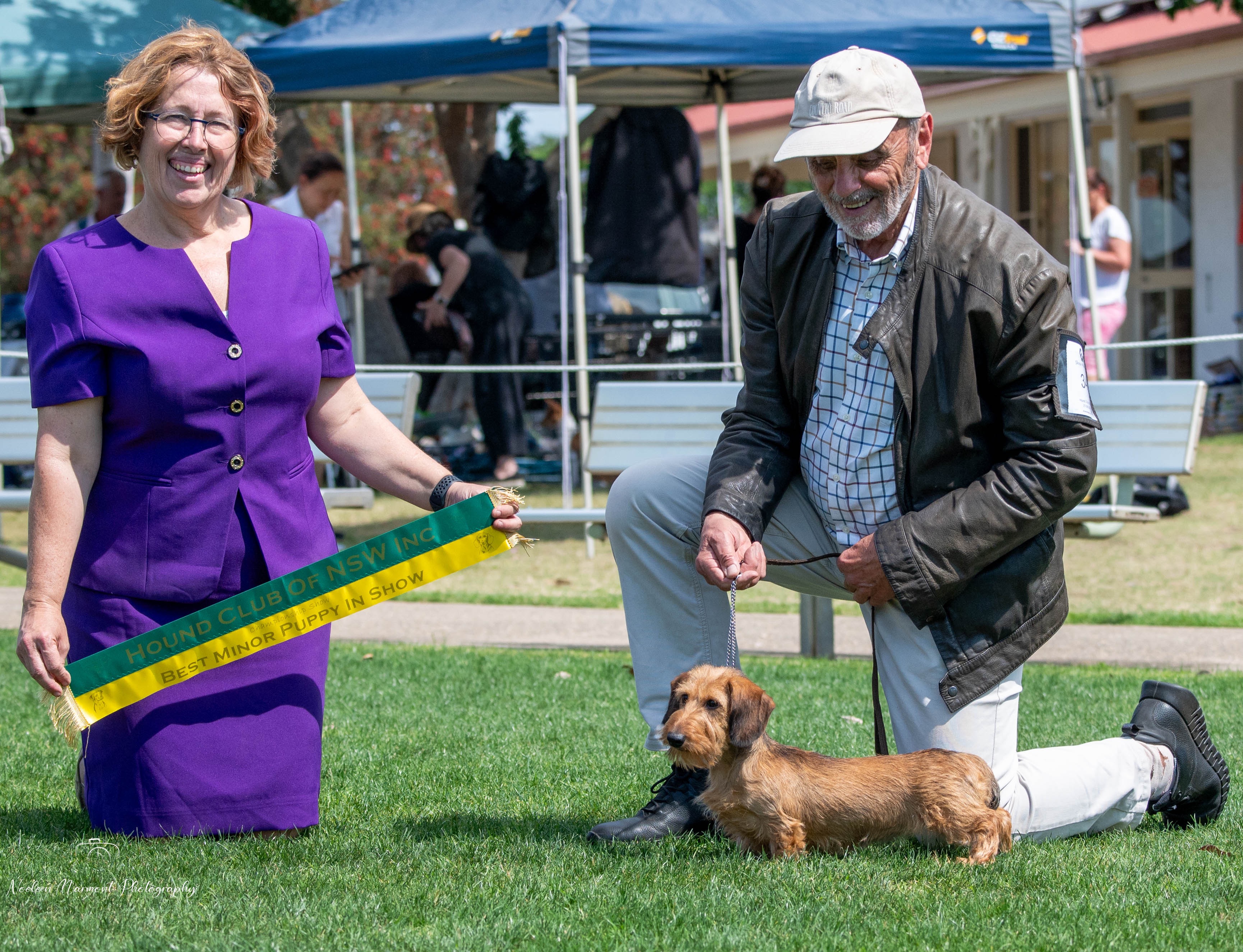 Aust Ch Tarrangower Twinx Dachshund (Miniature Wire Haired) - Owned by ...