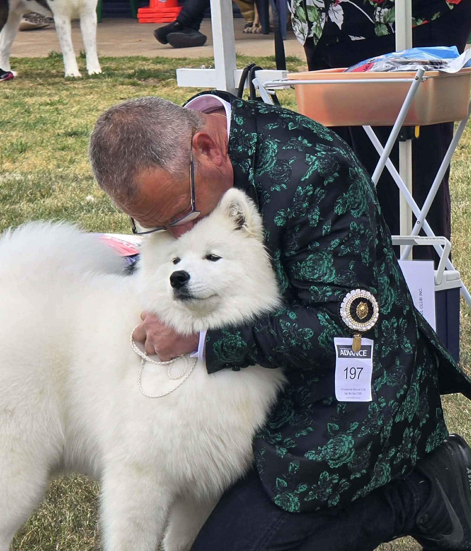 Bellasamba Sweet Friday O Mine Samoyed - Owned by Jason Gesiotto ...