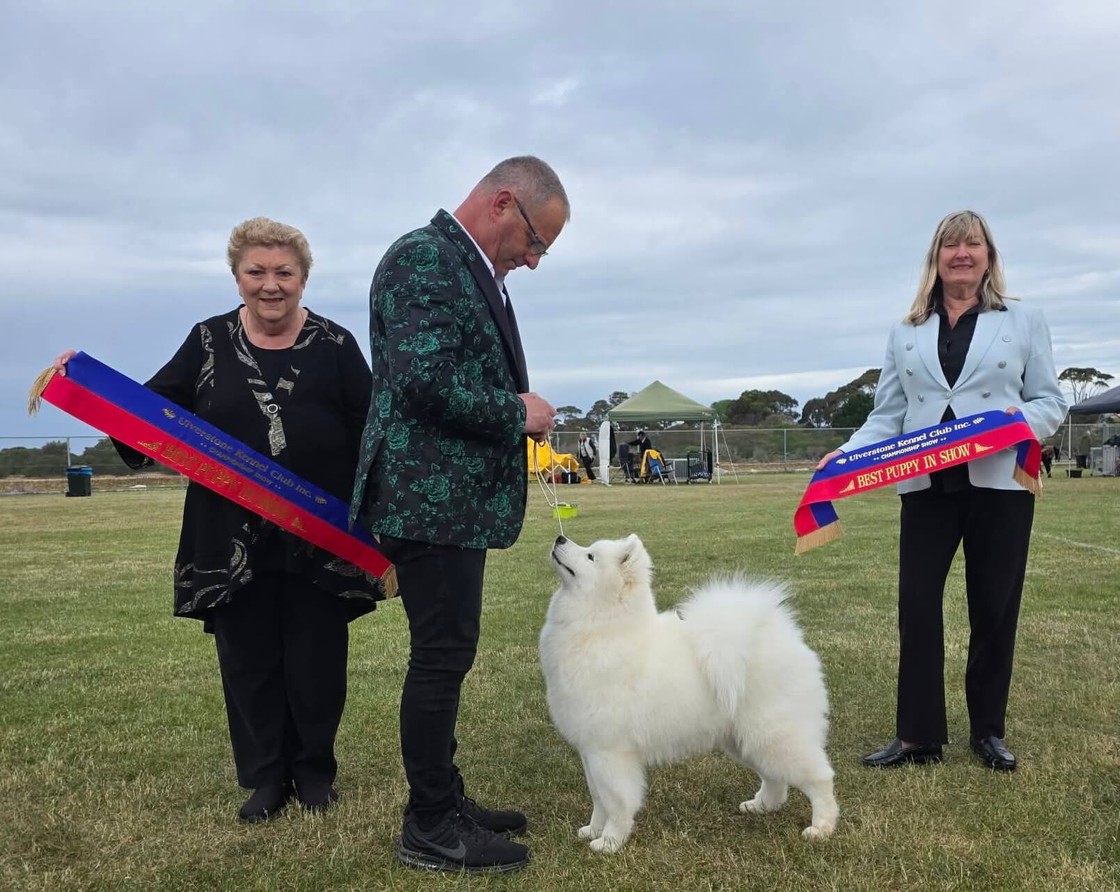 Bellasamba Sweet Friday O Mine Samoyed - Owned by Jason Gesiotto ...