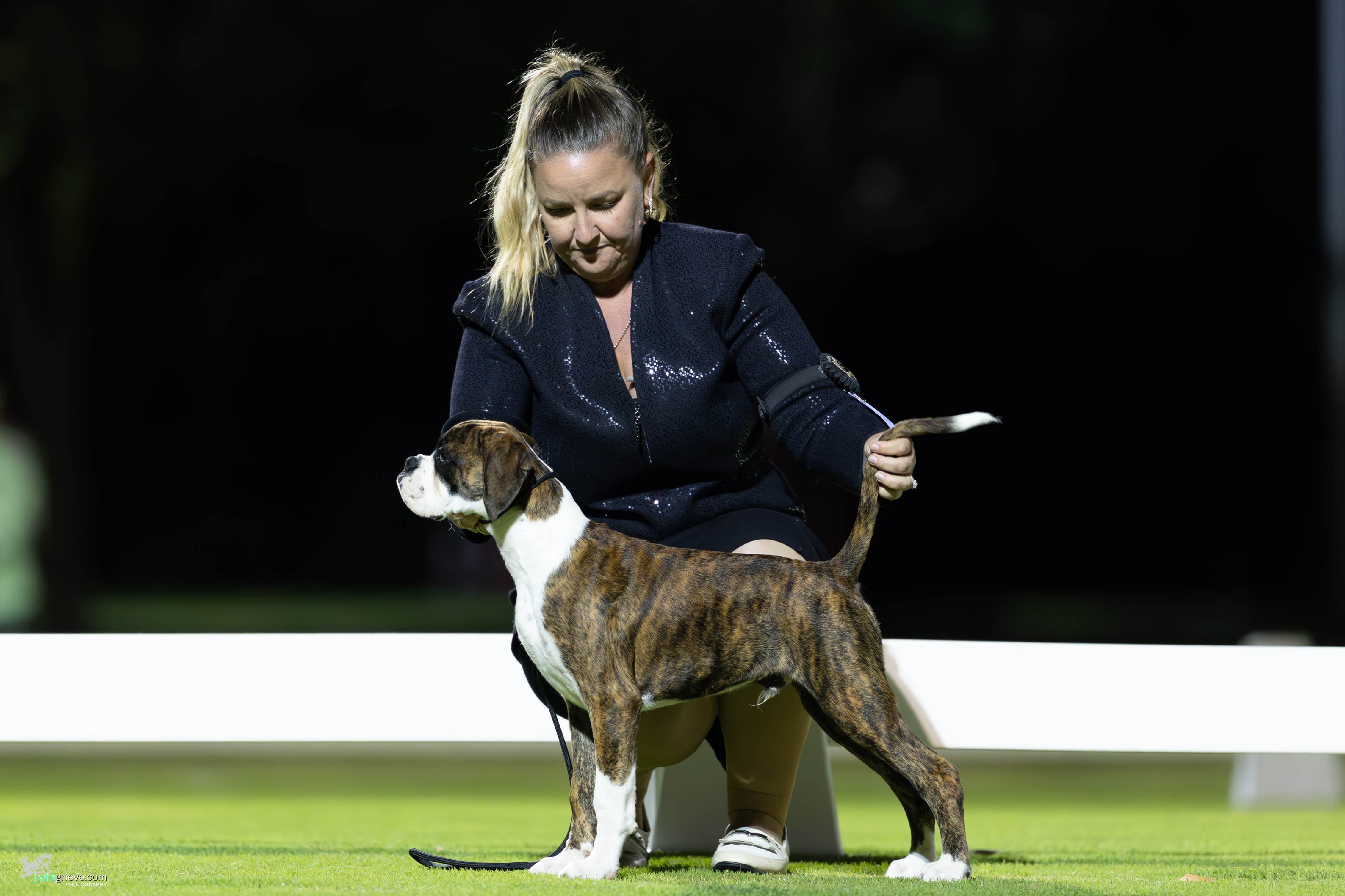 Jetboom Bounty Hunter Boxer - Owned by Mr R Jonsson & Miss E Luxford