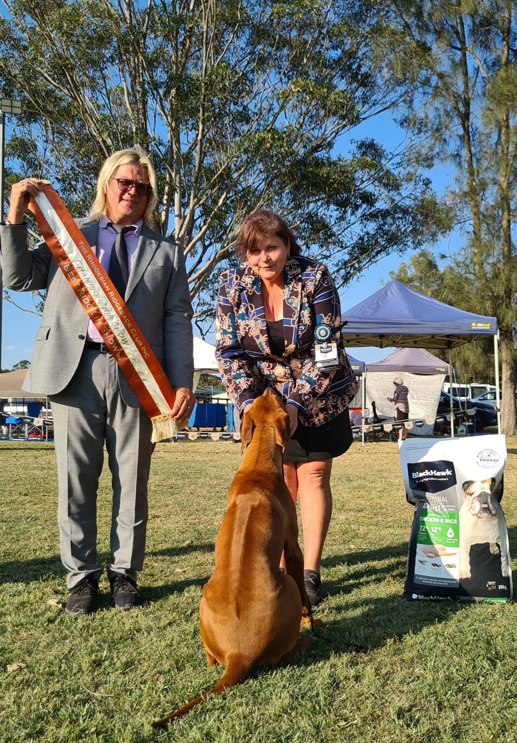 CHAMPION Juzrival Phunk Q Up Rhodesian Ridgeback - Owned by Addam ...