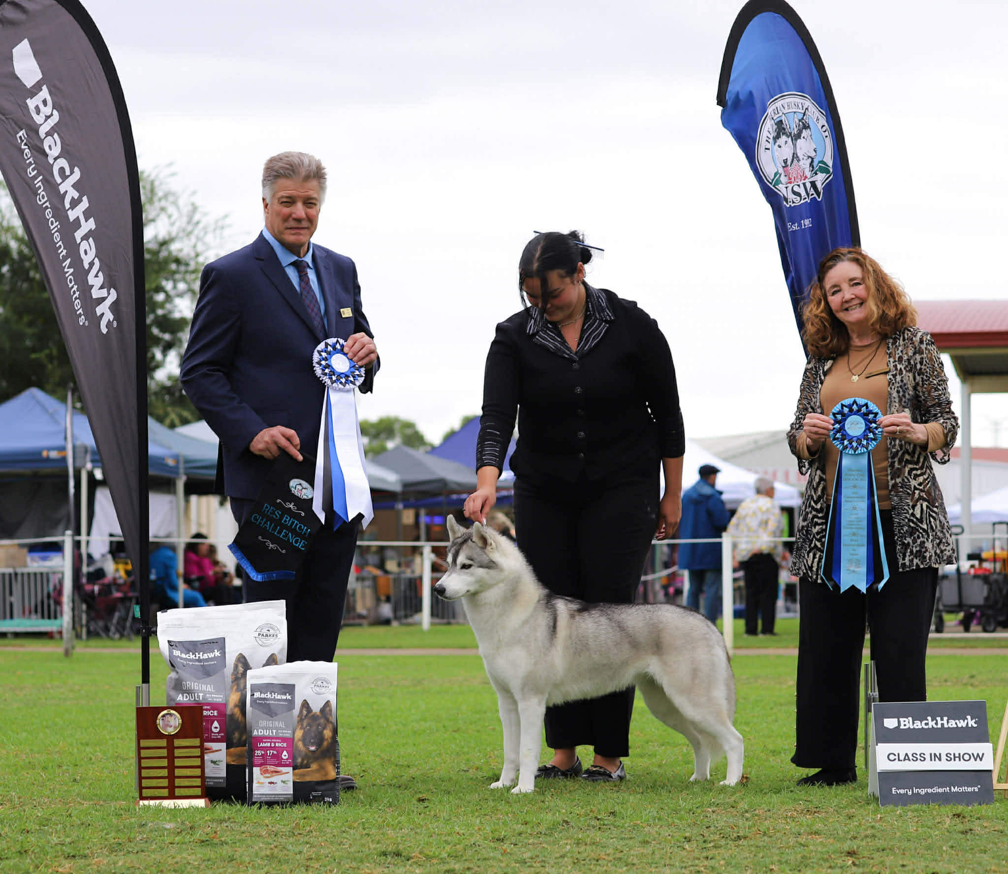 Aust. Ch Taejaan Exclusive (AI) N.SPRD Siberian Husky - Owned by NJ ...
