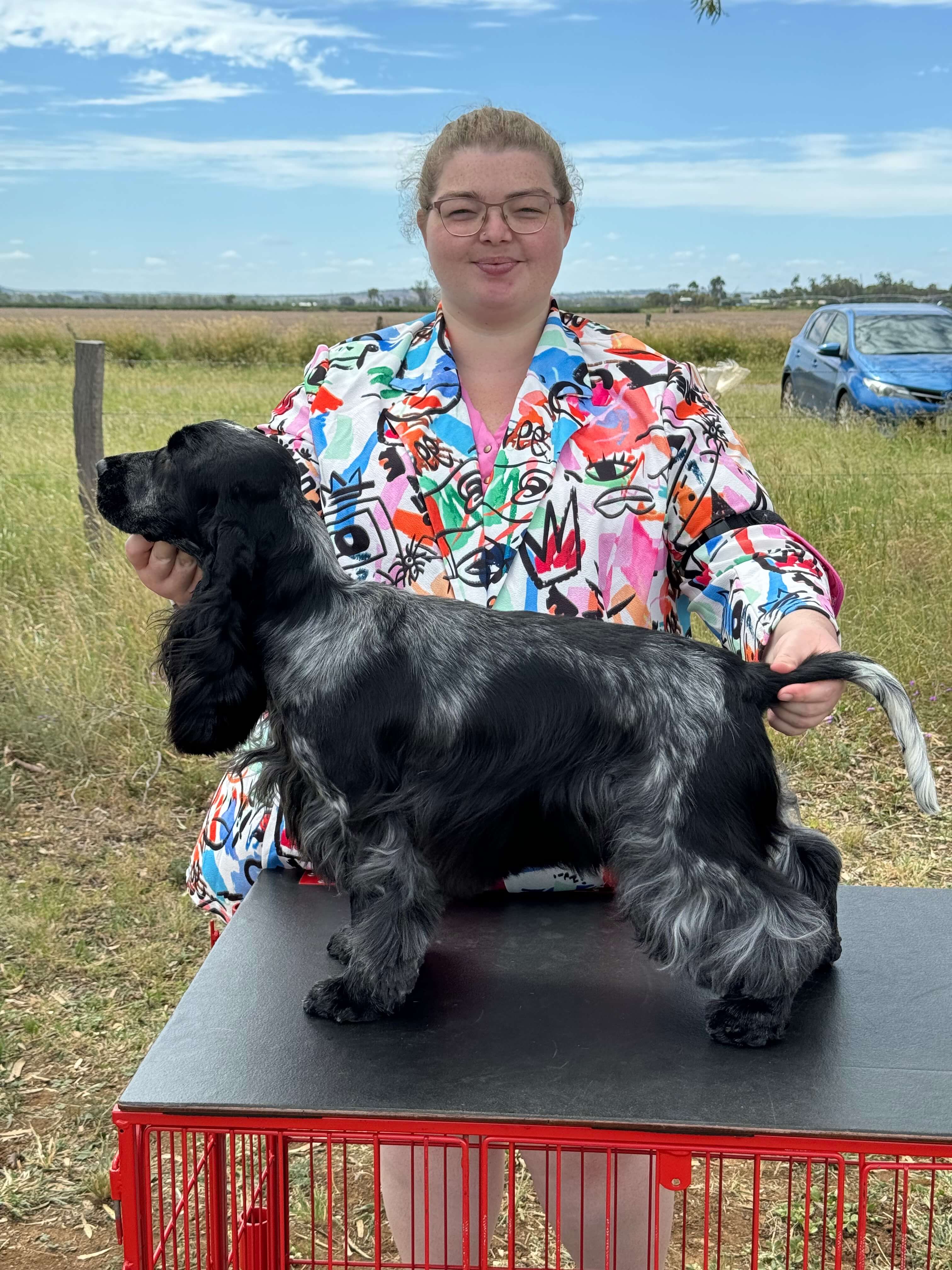Anavelaes Escapades In Blue Cocker Spaniel - Owned by Mrs. Karen Harris