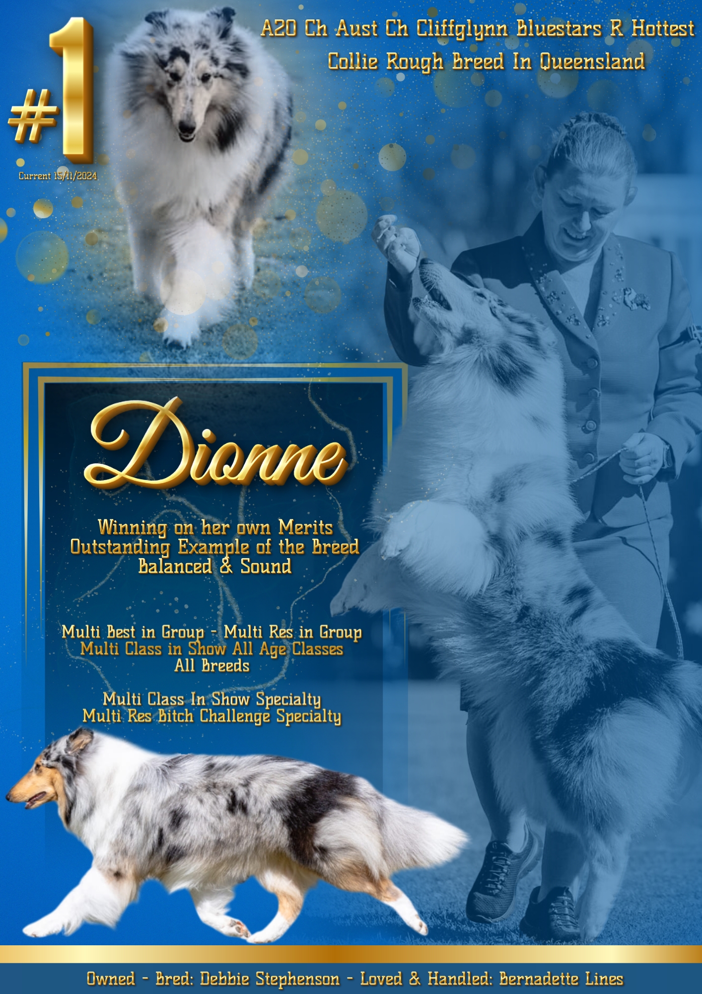 BISS BIS RBIS Aust Grand Ch A2O Ch Cliffglynn Bluestars R Hottest ...
