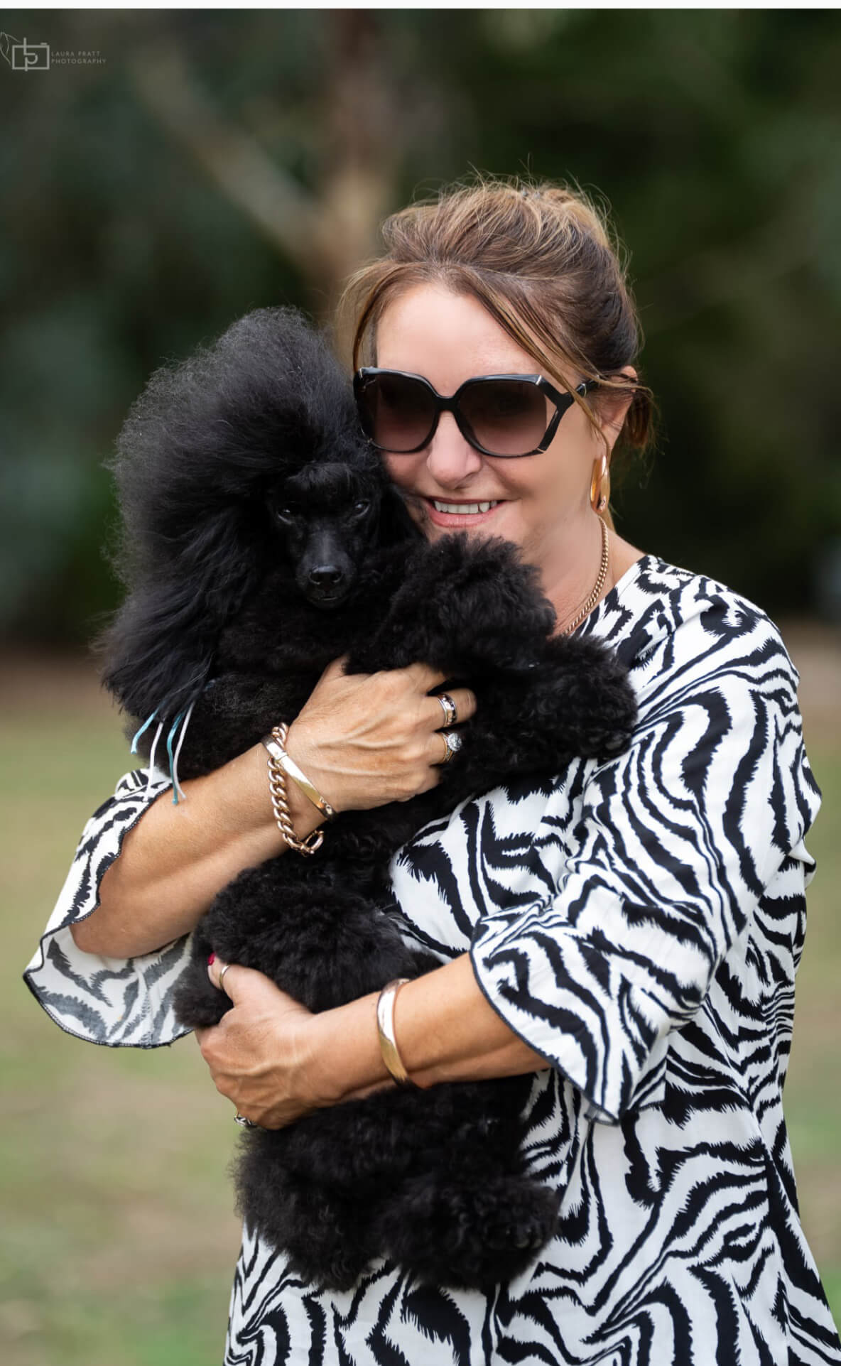 Fin Jr Ch Ch Equerry’s Bet My Boots Poodle (Toy) - Owned by Mrs J Seiter