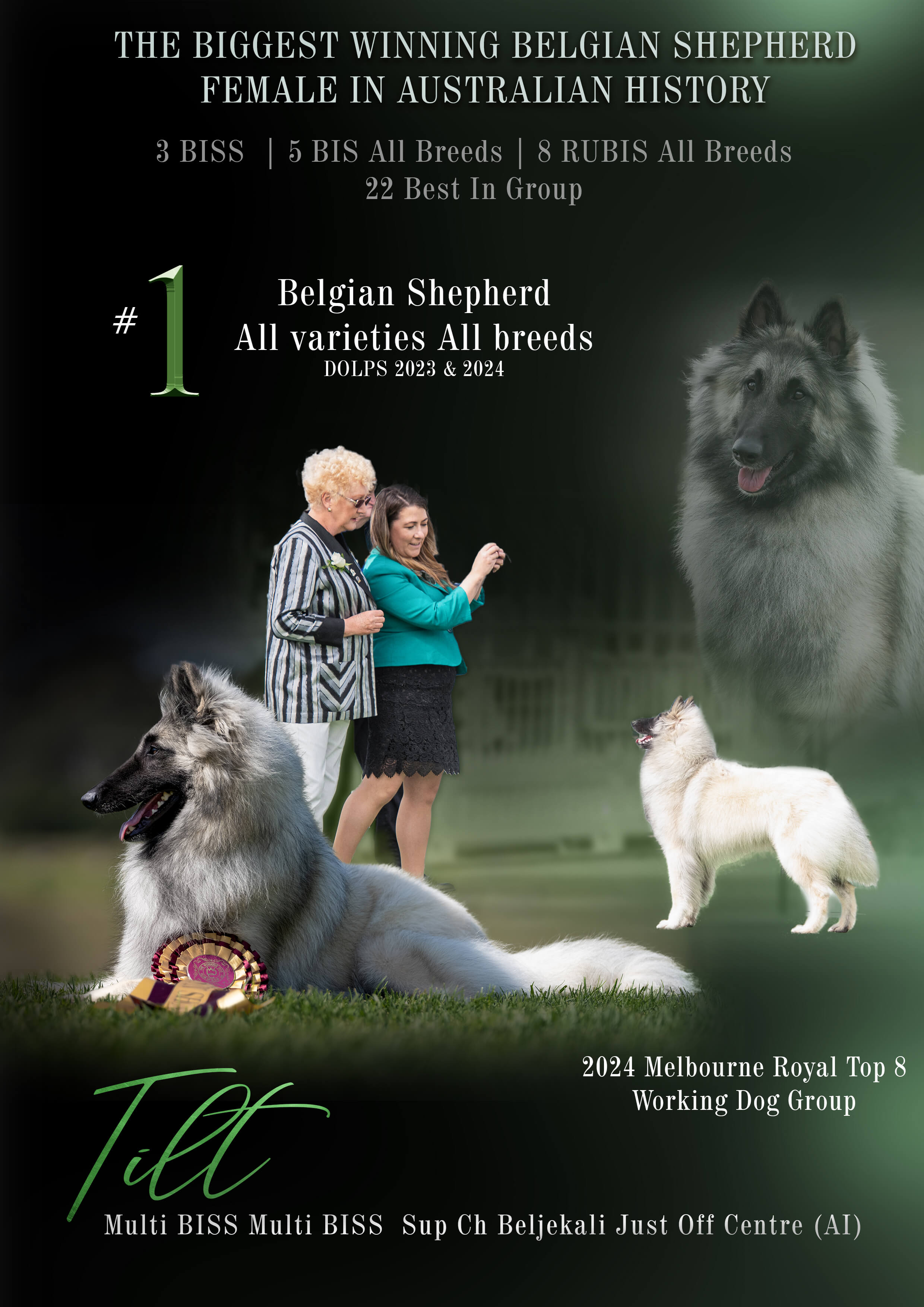Aust Sup Ch Beljekali Just off Centre (AI) Belgian Shepherd Dog ...