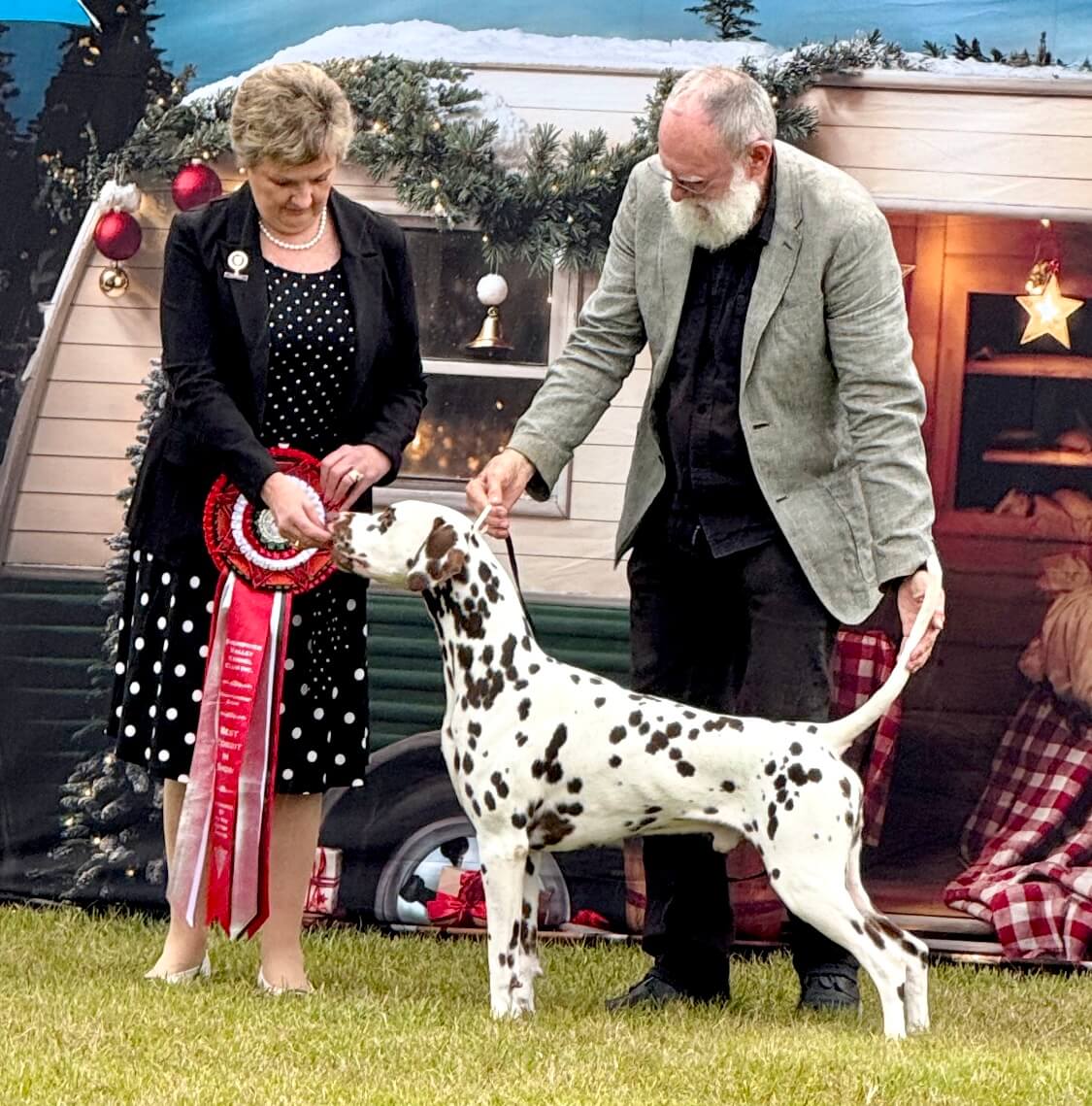 Grand Ch. Paceaway Blue Label Dalmatian - Owned by David Staines