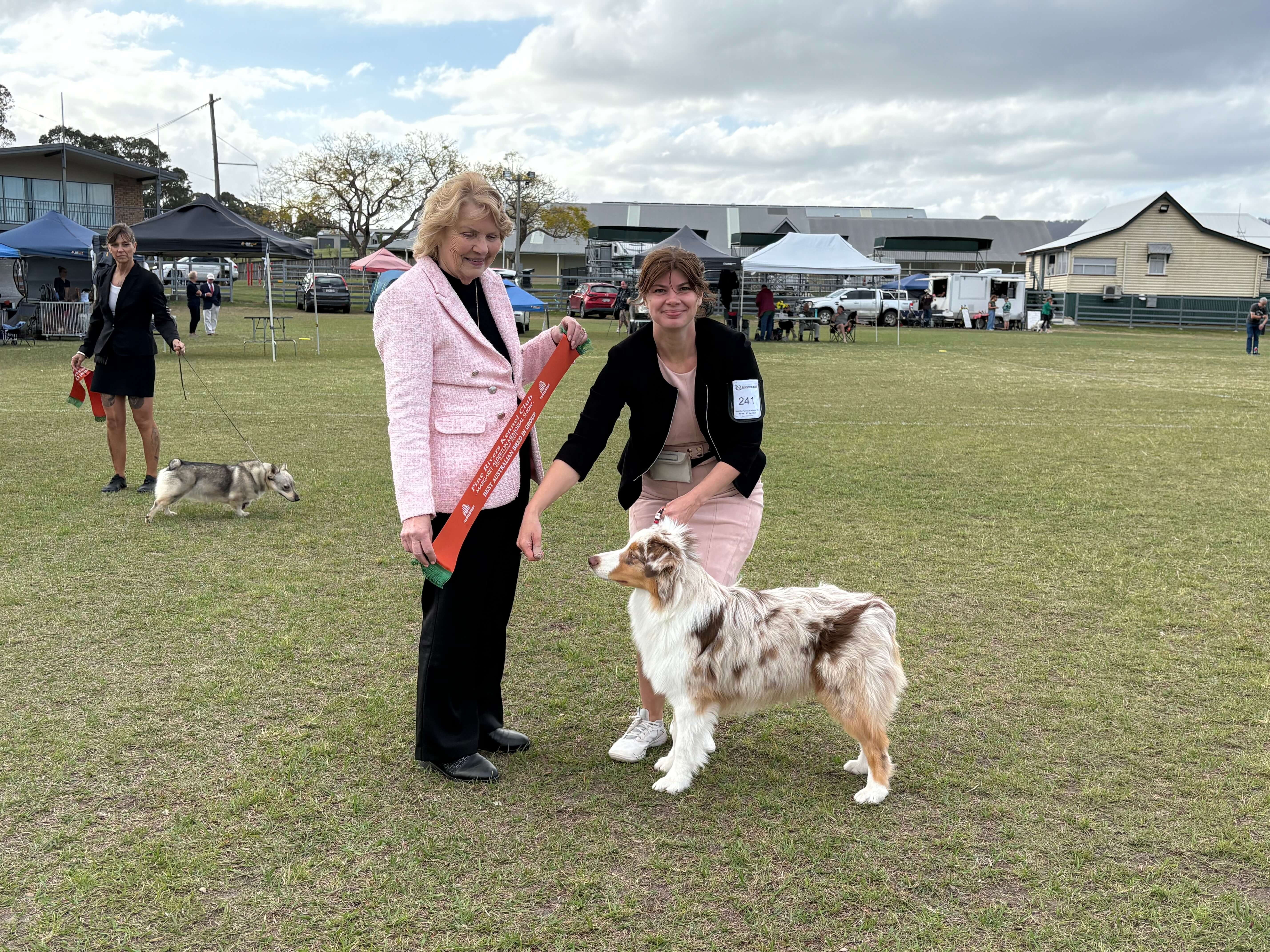 Stellinamia Courageous Action Australian Shepherd - Owned by L Di Maio ...