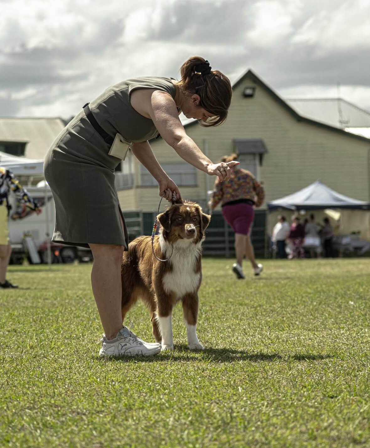 Stellinamia Over the Rainbow Australian Shepherd - Owned by Mrs L Di ...