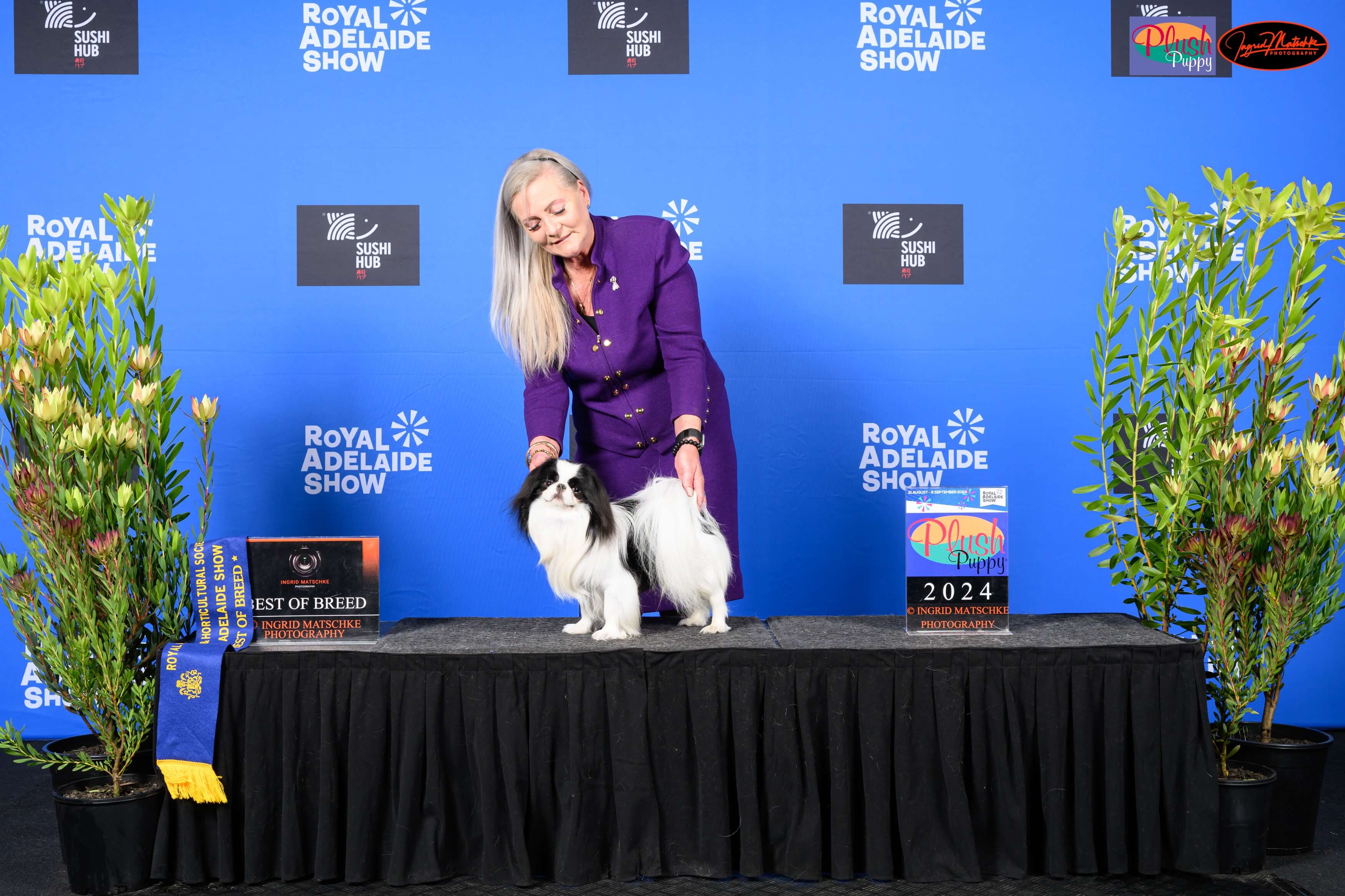 RUBIS RUBISS A20 Ch C.I.B. Aust Champion Sharlarna Runner (Imp UK ...
