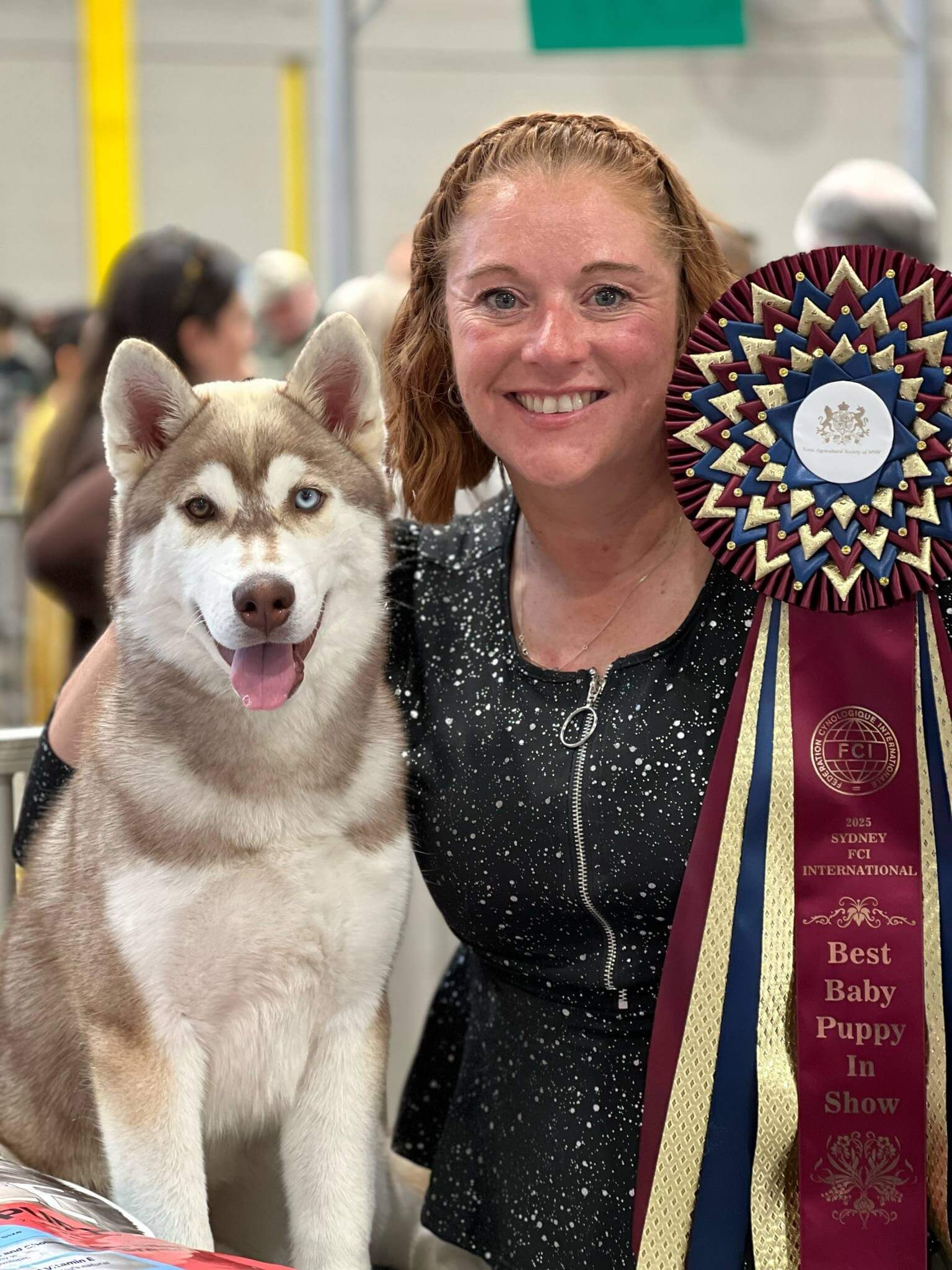 Nightvizn Rise of the Red Siberian Husky - Owned by Fiona Knight