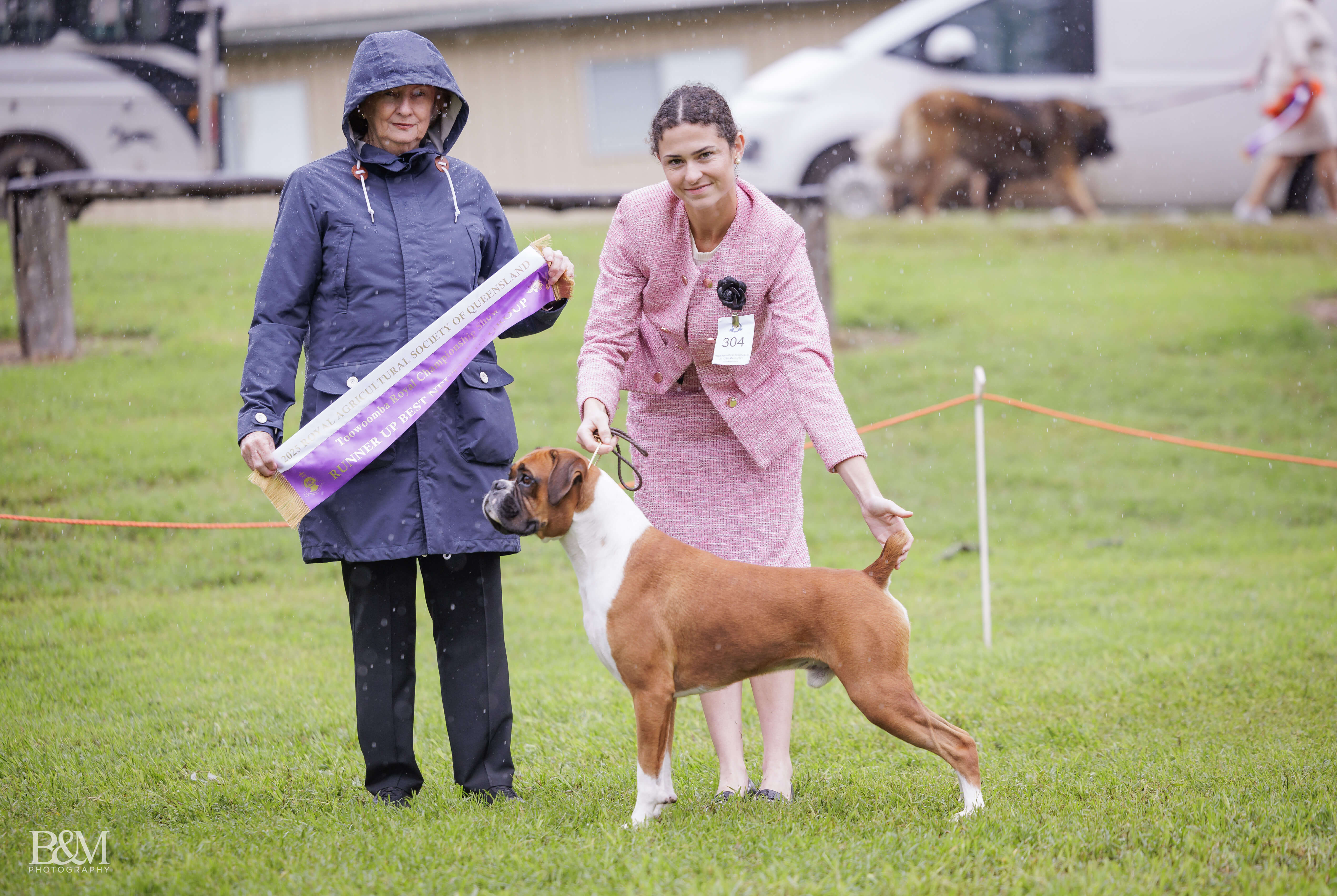 NUET. CH. Readimarr Marc On My Heart Boxer - Owned by Linda Daetz