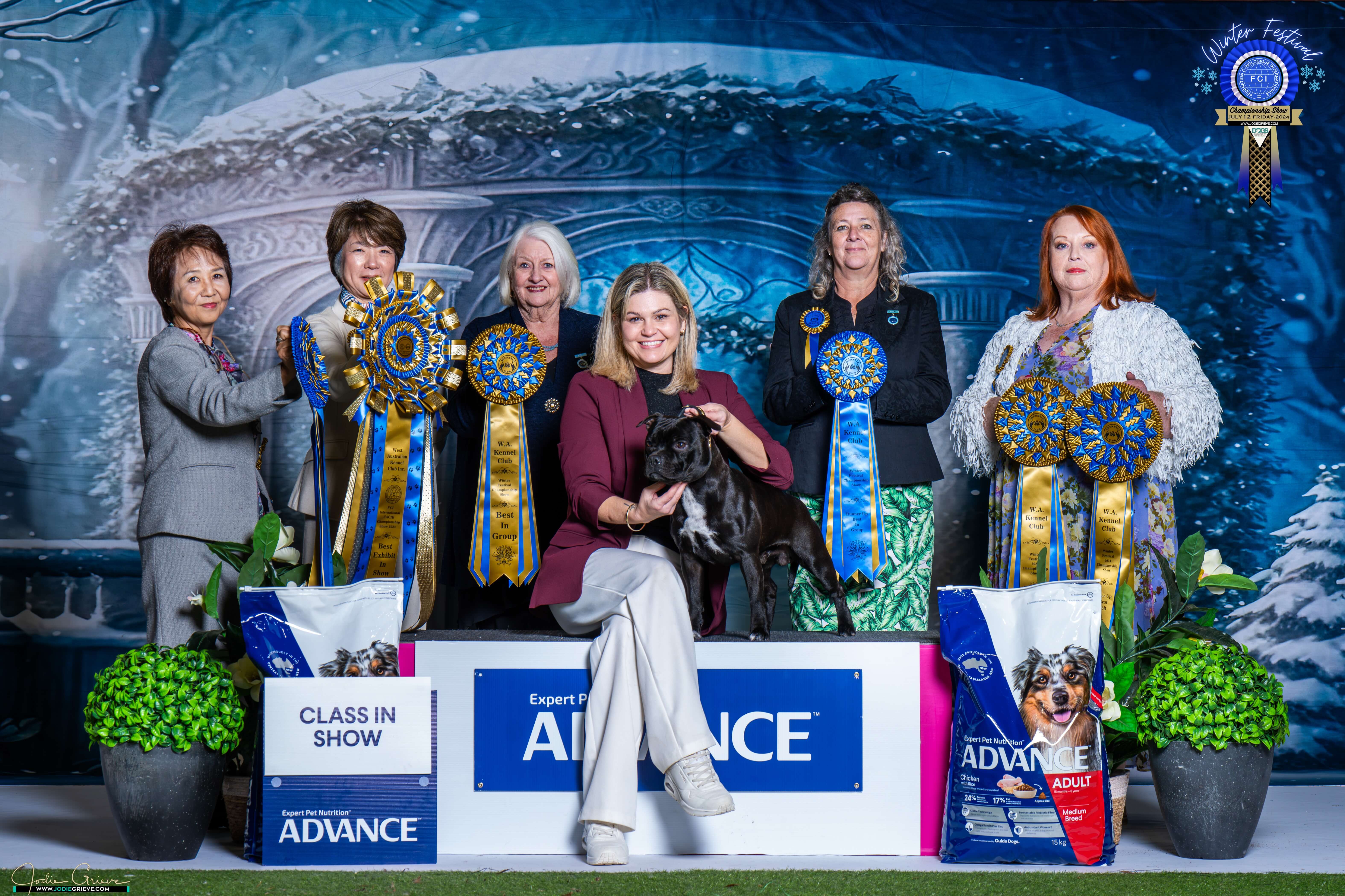 BISS BIS AU CH. Onahi Atticus (AI) Staffordshire Bull Terrier - Owned by Mrs M McLean