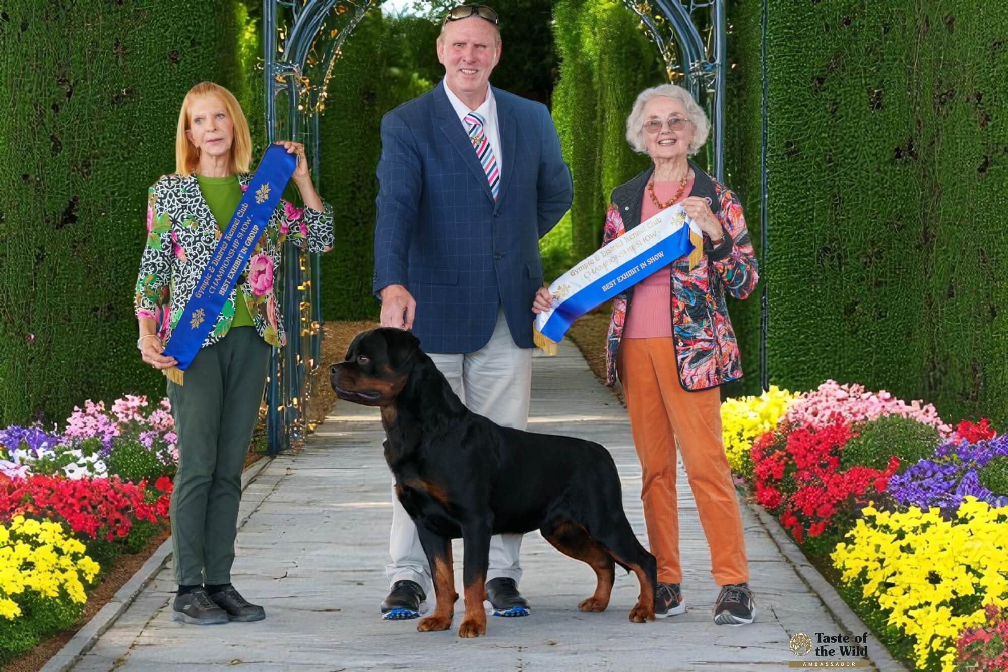 AUST & UK CH. Teigan Jedi By Fantasa (imp Uk) Rottweiler - Owned by ...