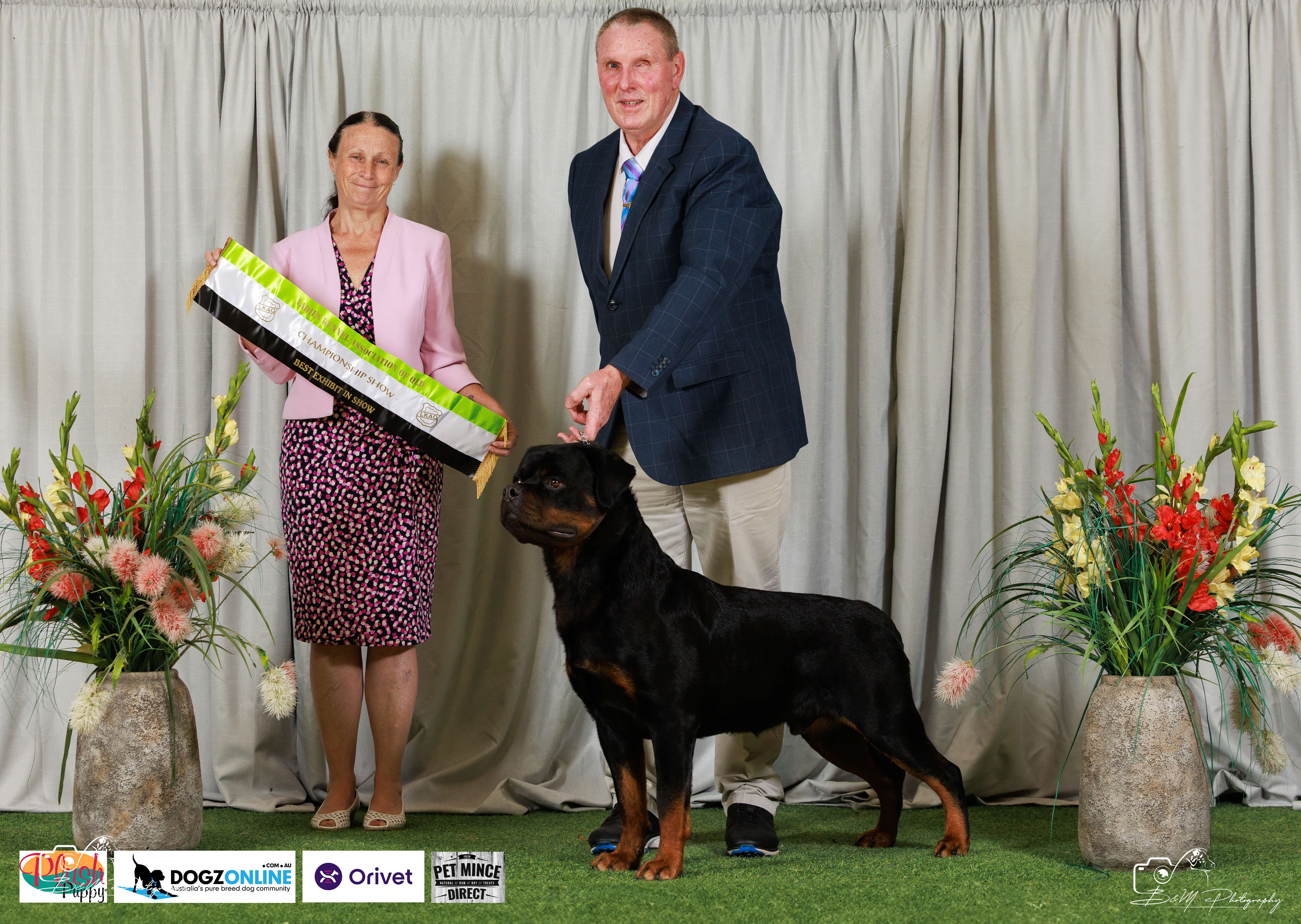 AUST & UK CH. Teigan Jedi By Fantasa (Imp Uk) Rottweiler - Owned by ...