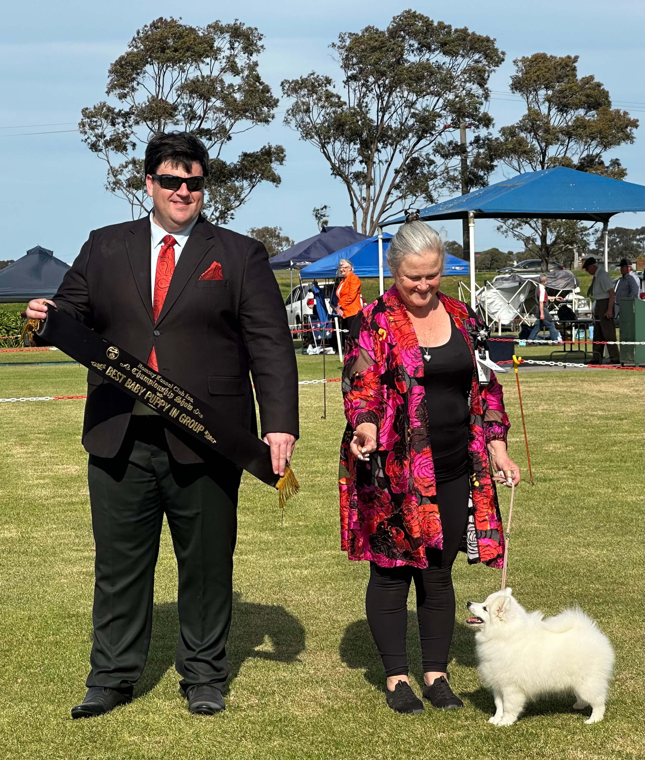 Puddleducky French Allure Japanese Spitz - Owned by Jane Buckland