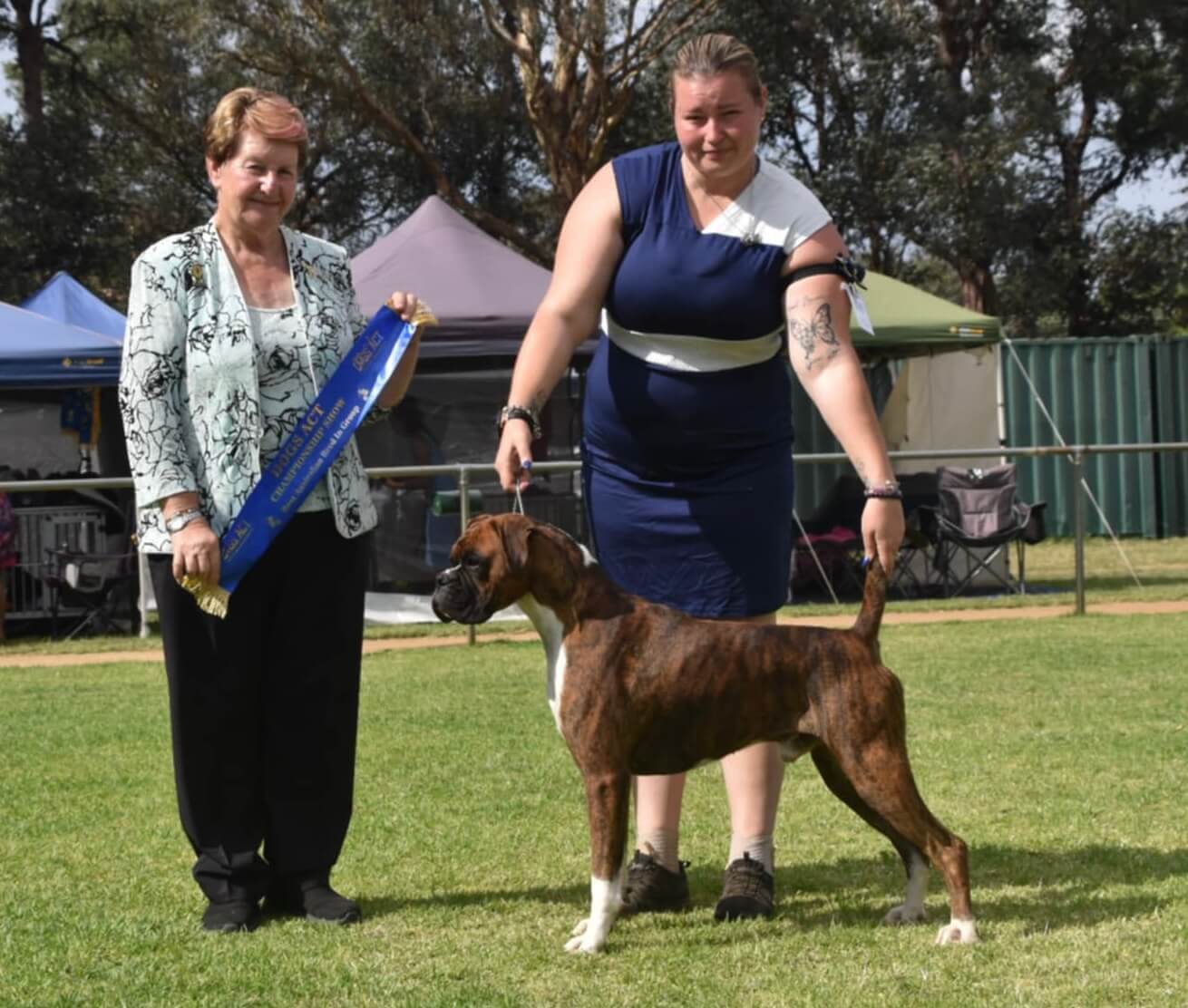 Ch Bocsavil Zabeel Boxer - Owned by M & J Carey